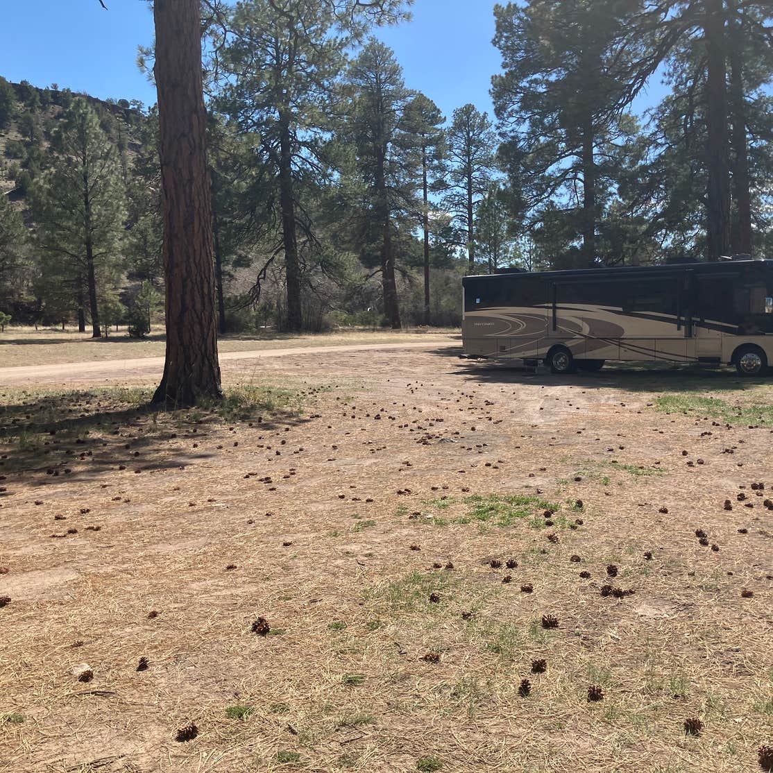 Apache Creek Campground | Reserve, NM