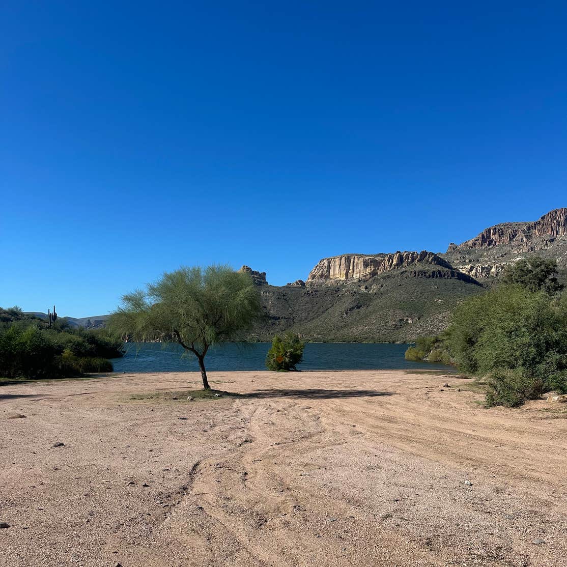 Apache Lake Marina & Resort Camping | Tonto National Forest, Arizona