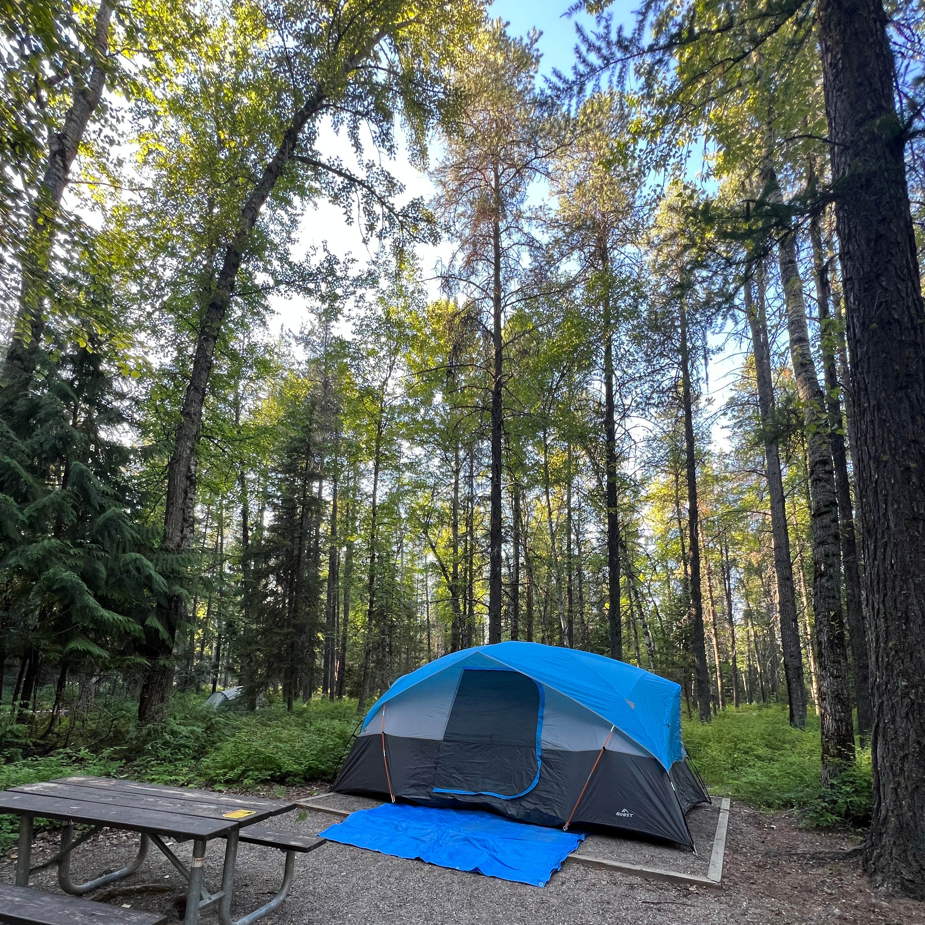 Apgar Campground — Glacier National Park | West glacier, MT