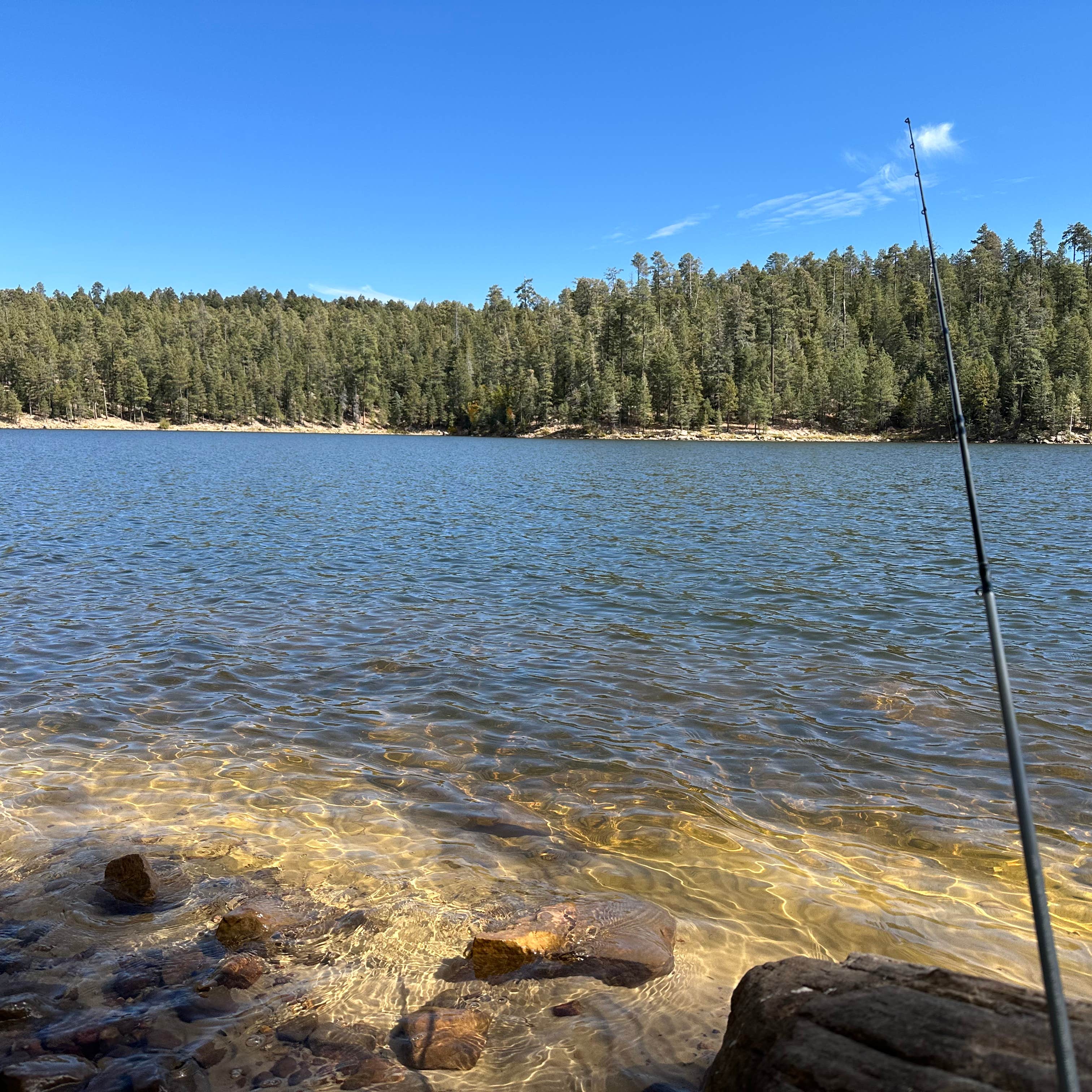 Bear Canyon Lake and Camping Area | Forest Lakes, Arizona