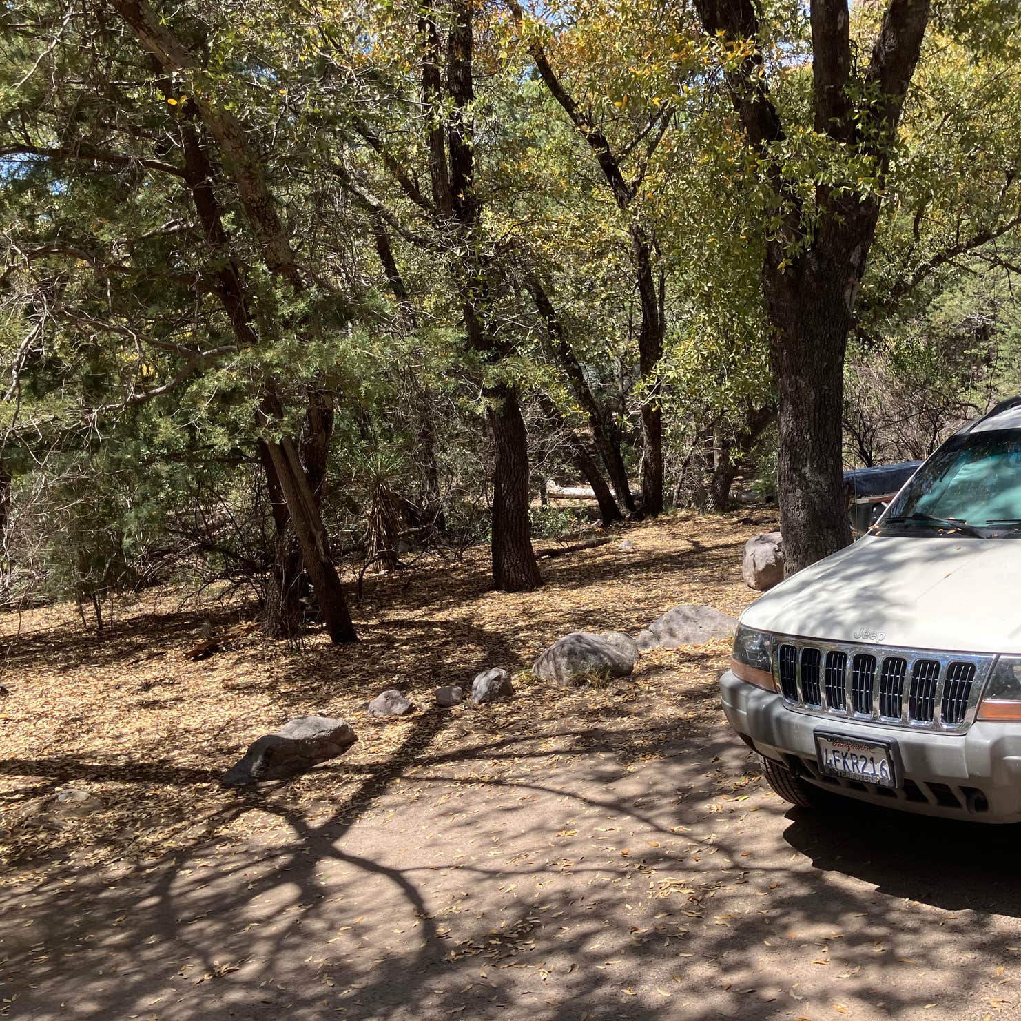 Bonita Canyon Campground — Chiricahua National Monument | Willcox, AZ