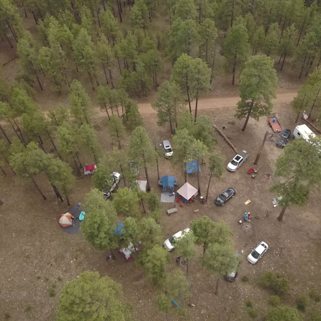 Colcord Ridge Campground | Forest Lakes, Arizona