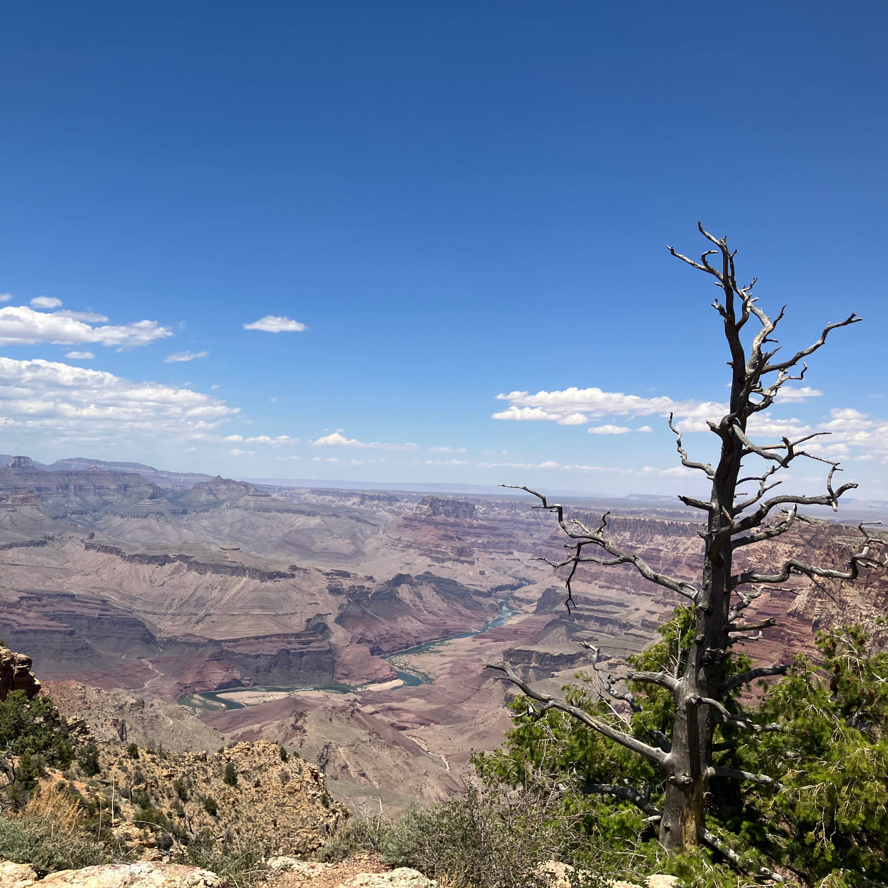 Desert View Campground — Grand Canyon National Park | Grand Canyon, Arizona