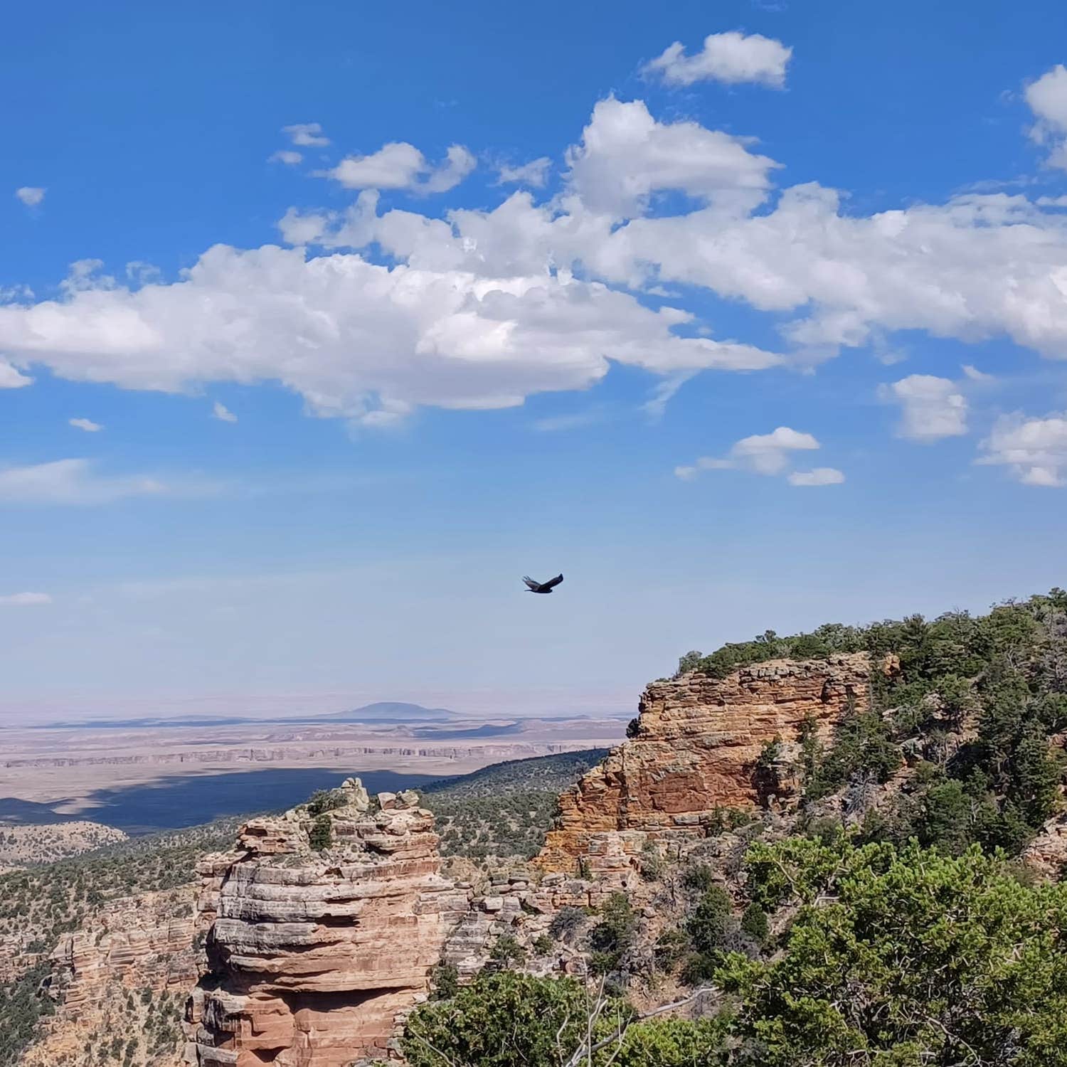 Desert View Campground — Grand Canyon National Park | Grand Canyon, Arizona