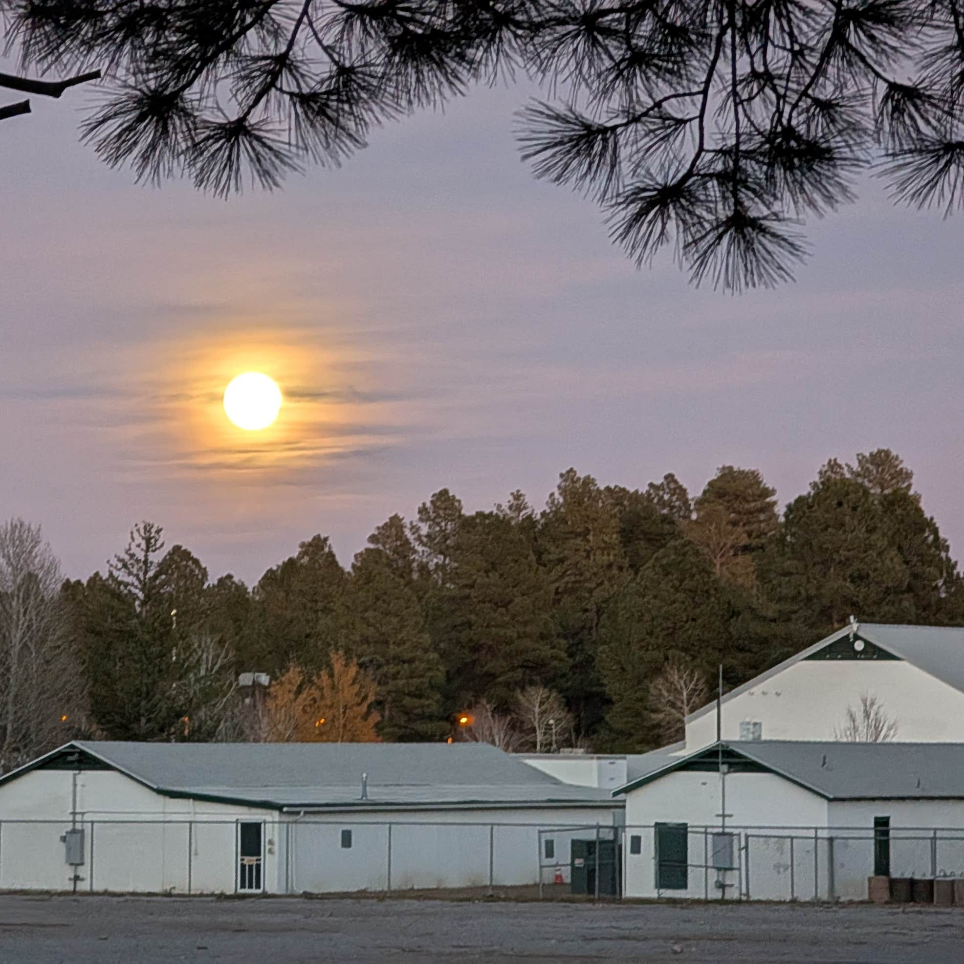 Fort Tuthill Luke AFB Recreation Area Camping | Flagstaff, Arizona