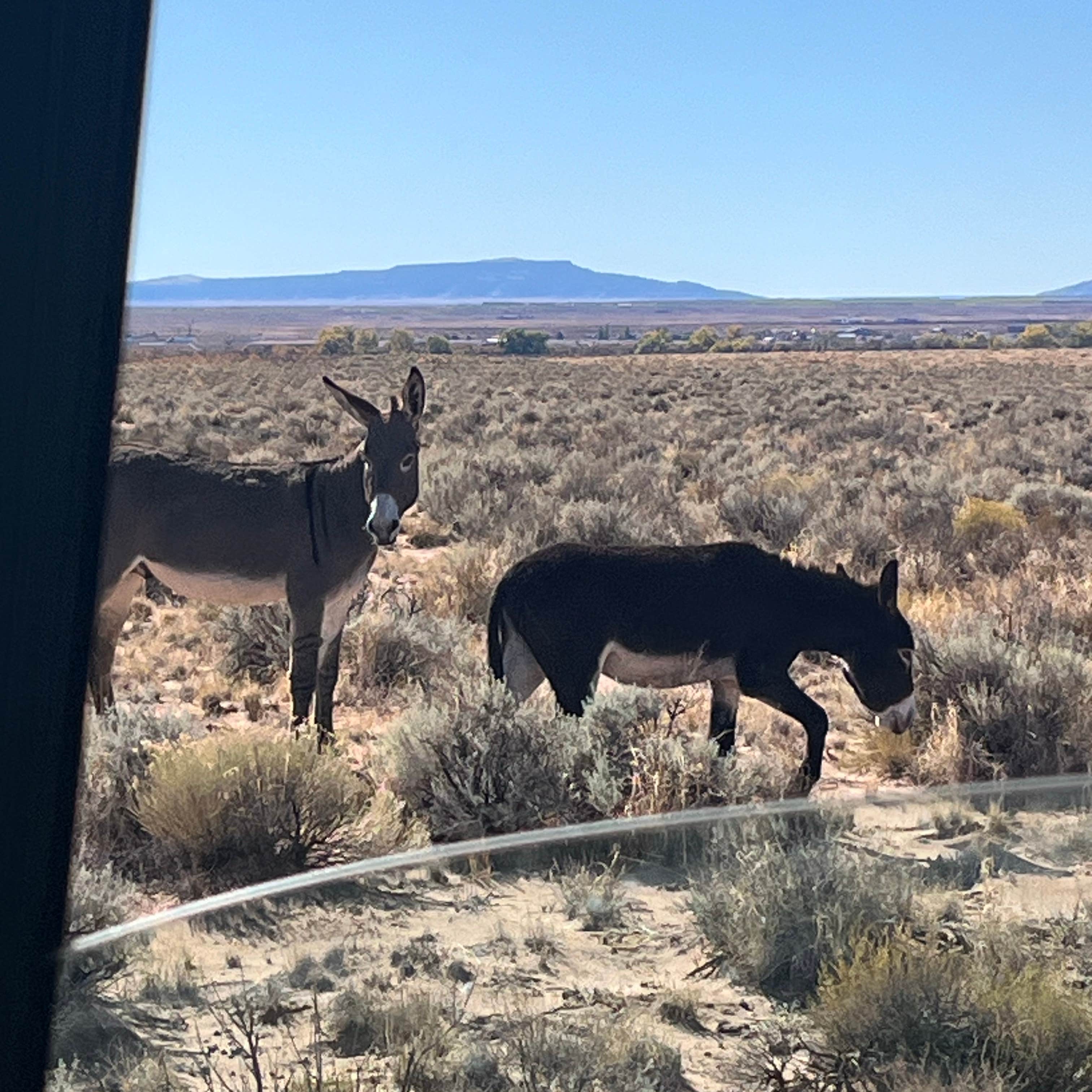 Homolovi State Park Campground | Winslow, Arizona