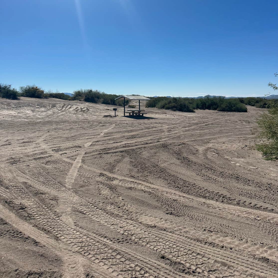 Hot Well Dunes Recreation Area Camping | Bowie, Arizona