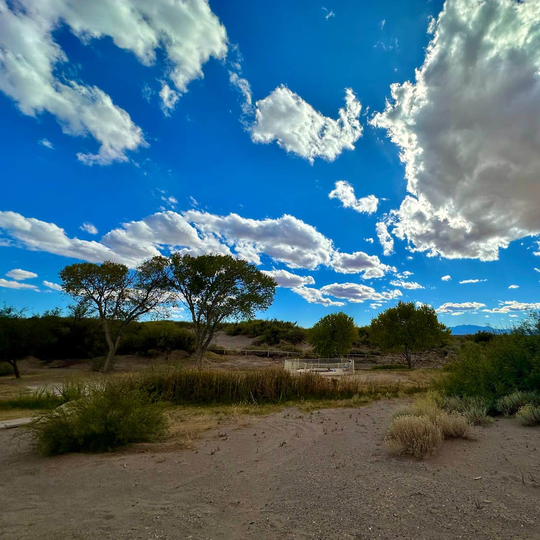 Hot Well Dunes Recreation Area Camping | Bowie, Arizona