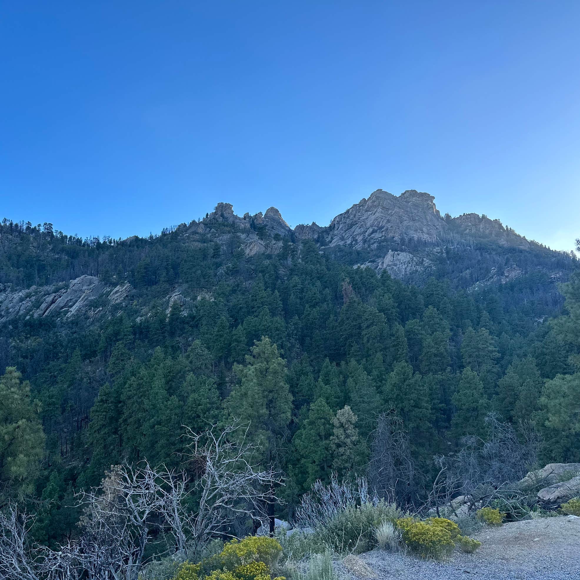 Hualapai Mountain Park Camping | Kingman, Arizona