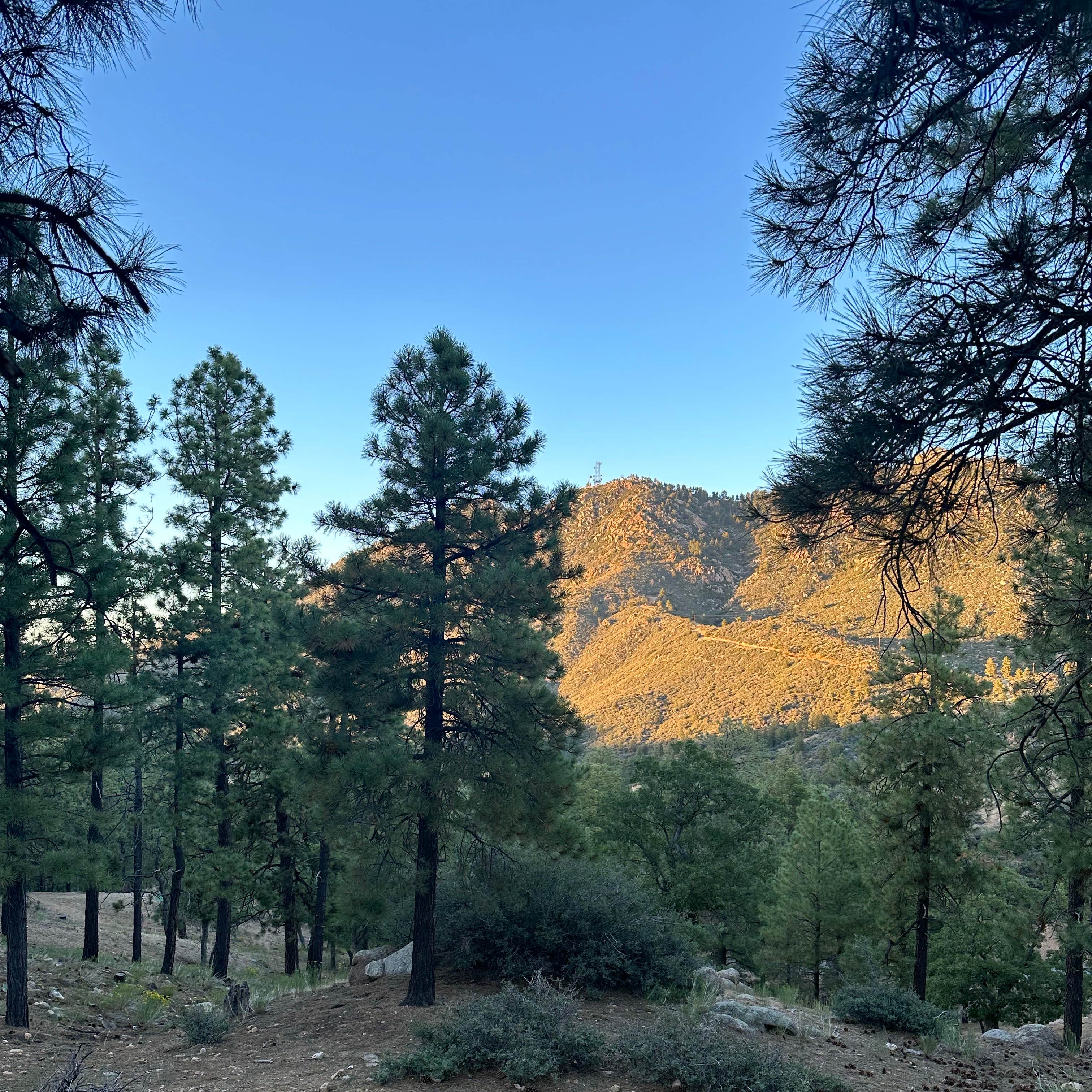 Hualapai Mountain Park Camping | Kingman, Arizona