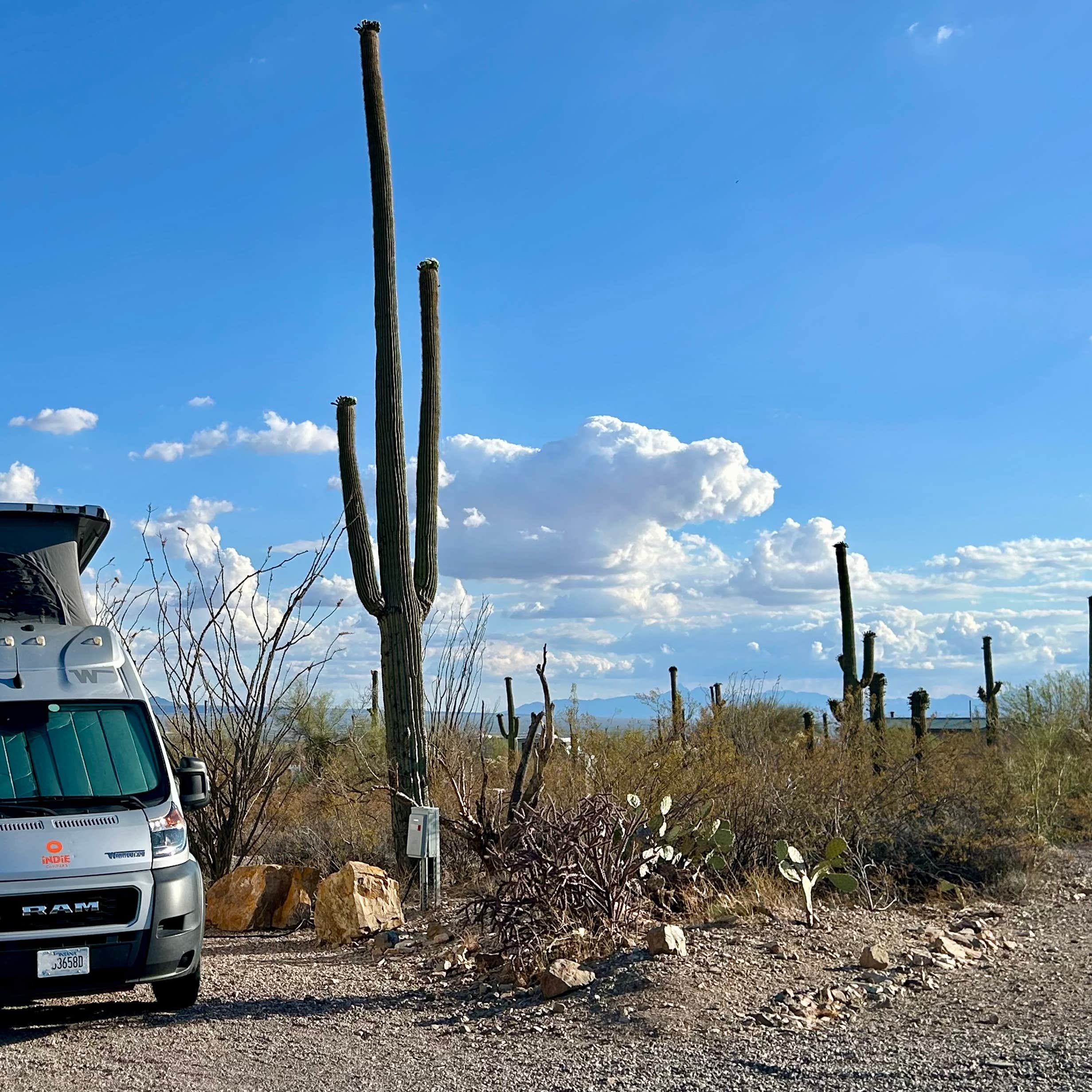 Gilbert Ray Campground | Cortaro, Arizona
