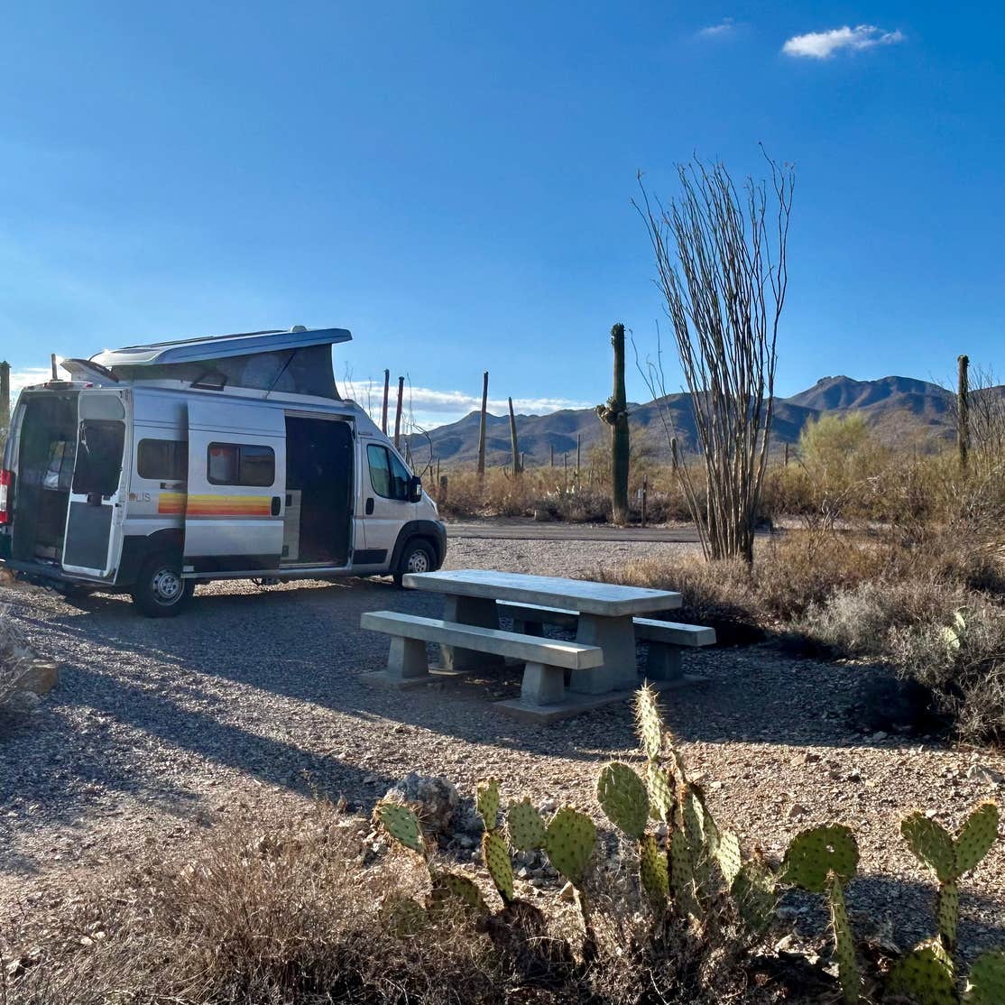 Gilbert Ray Campground | Cortaro, Arizona