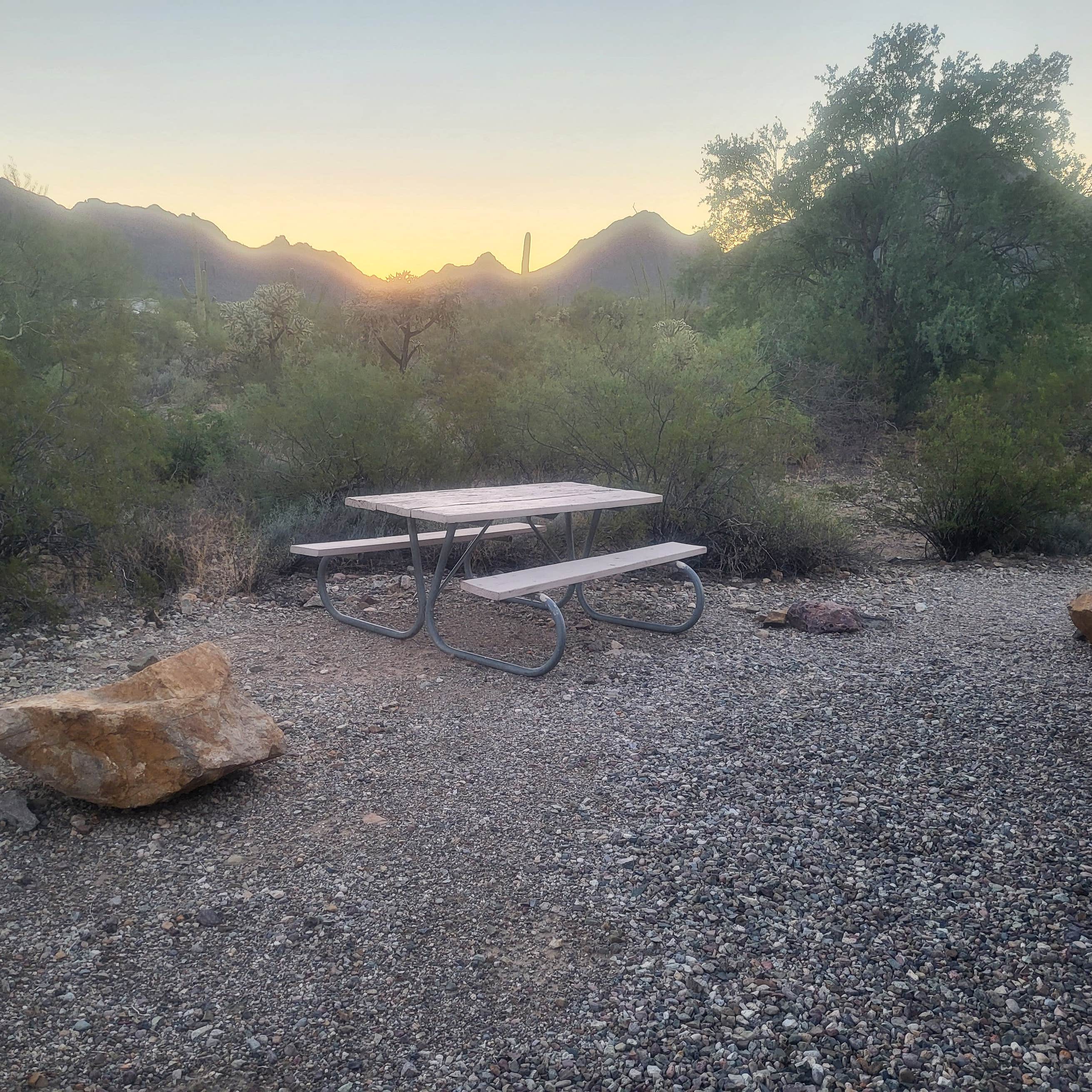 Gilbert Ray Campground | Cortaro, Arizona