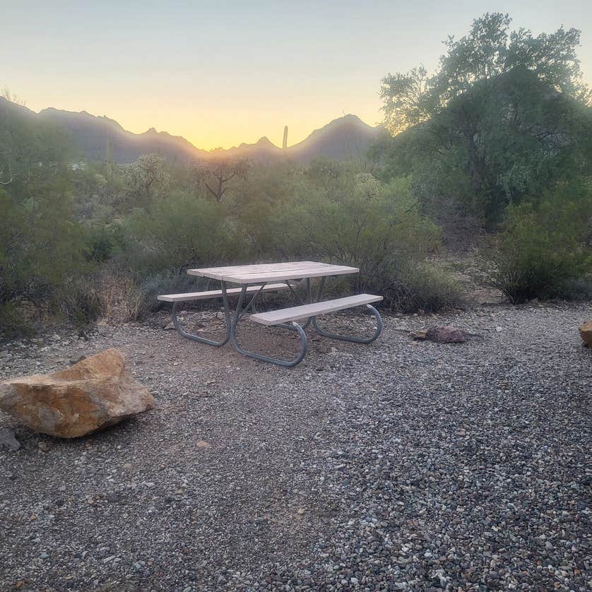Gilbert Ray Campground | Cortaro, Arizona