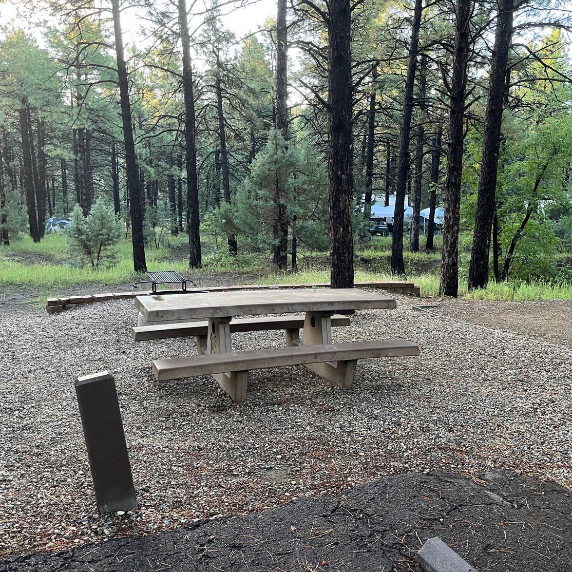 Potato Patch Campground | Jerome, Arizona