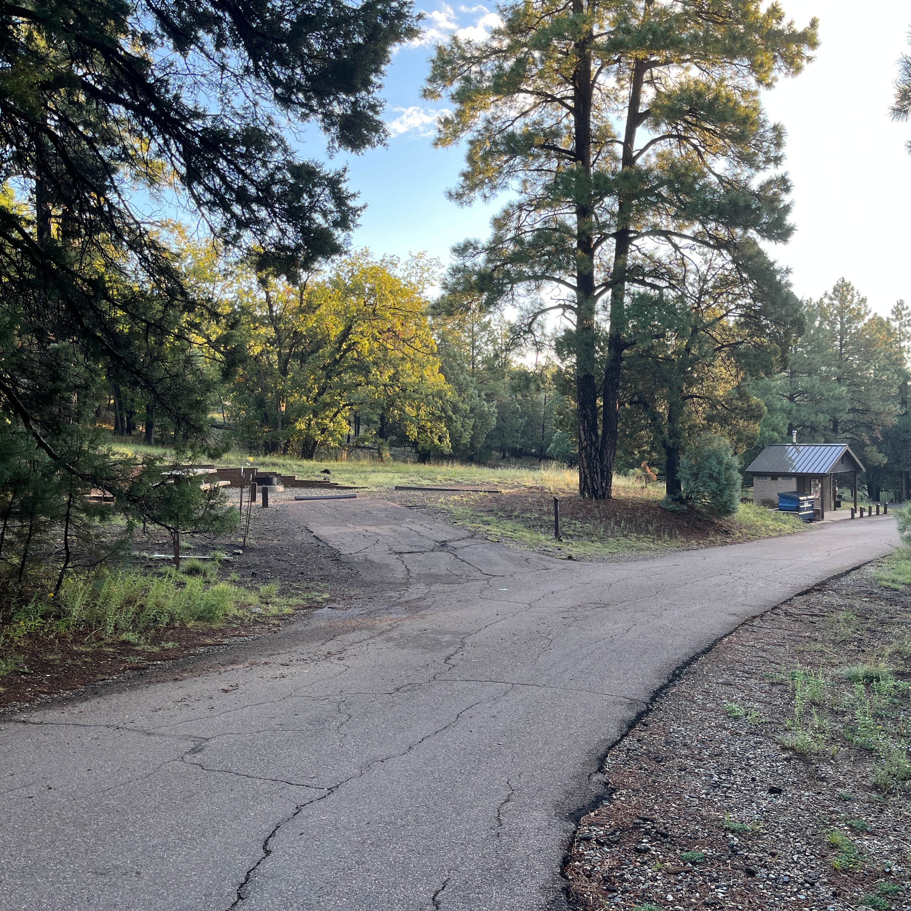Potato Patch Campground | Camp verde, AZ