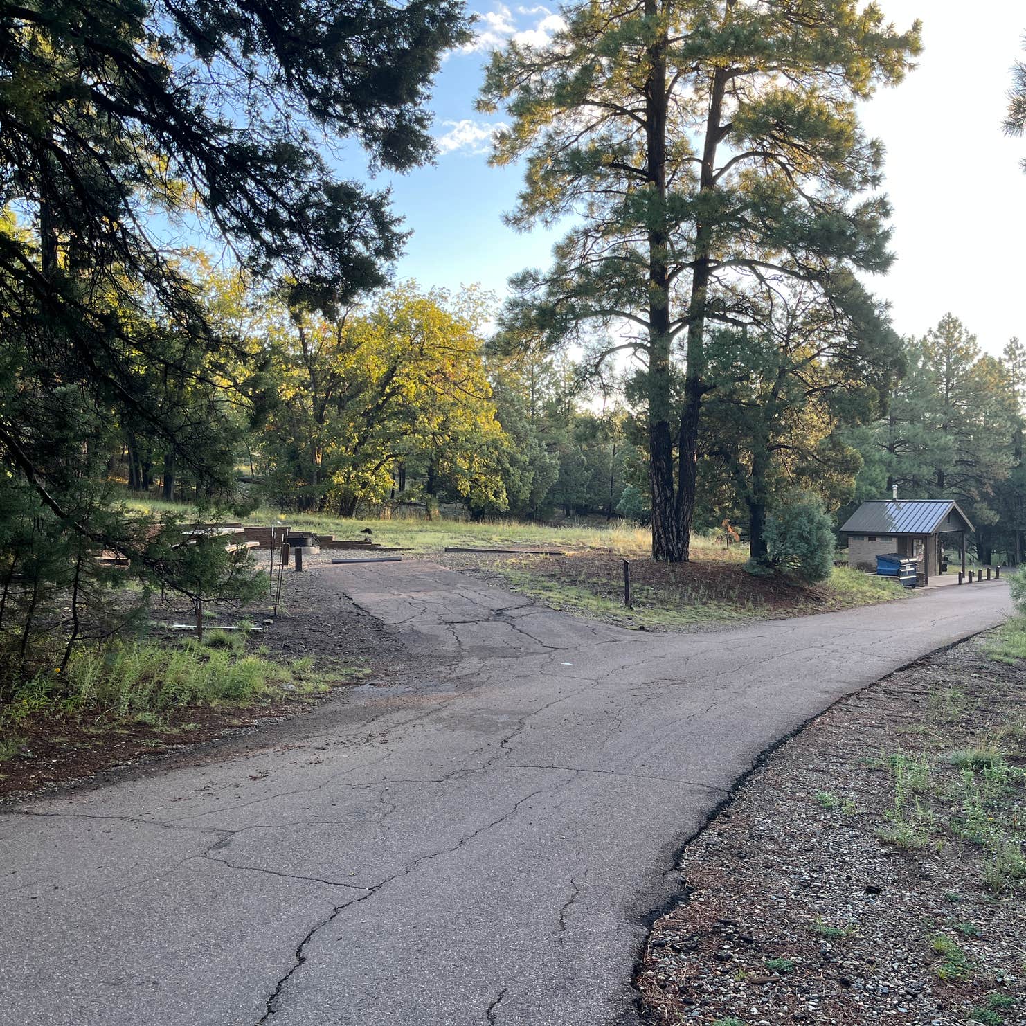 Potato Patch Campground | Jerome, Arizona