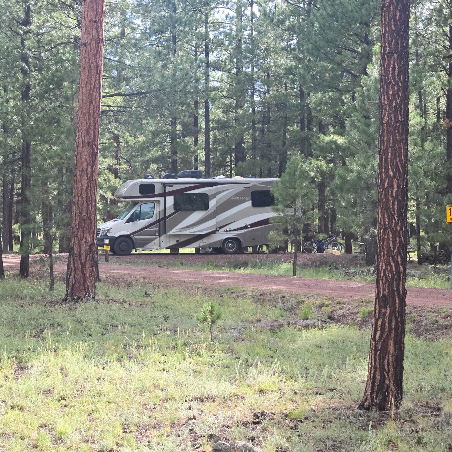 Rolfe C. Hoyer Campground | Greer, Arizona
