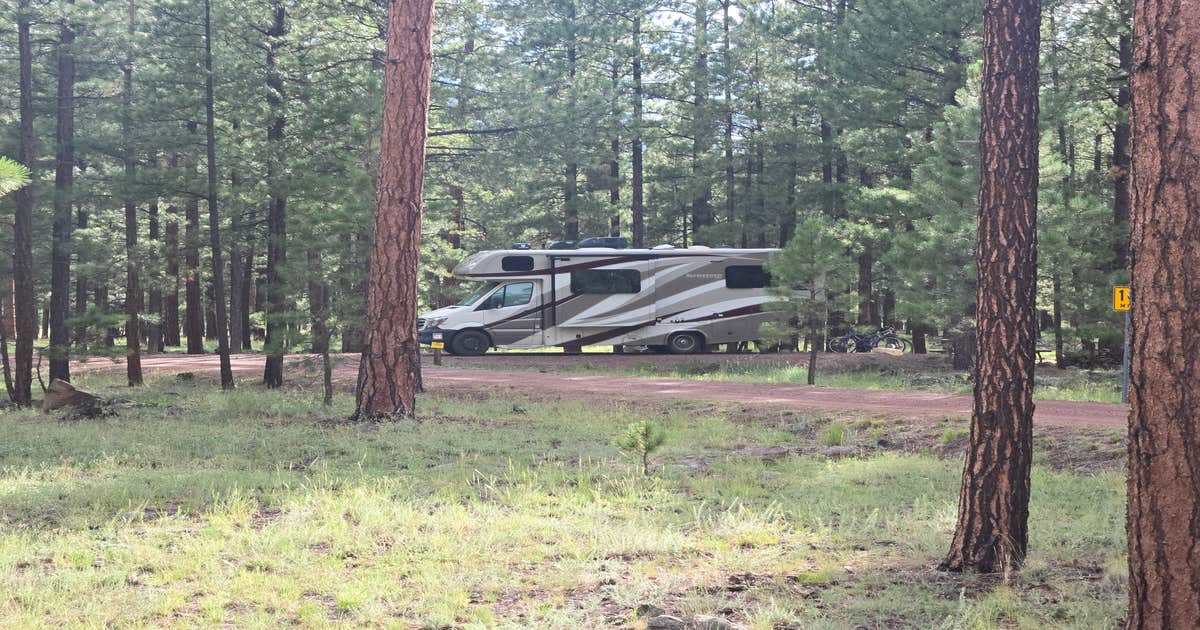 Rolfe C. Hoyer Campground | Greer, Arizona