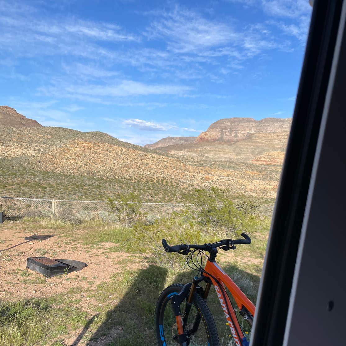 Virgin River Canyon Recreation Area CG Camping | Littlefield, AZ