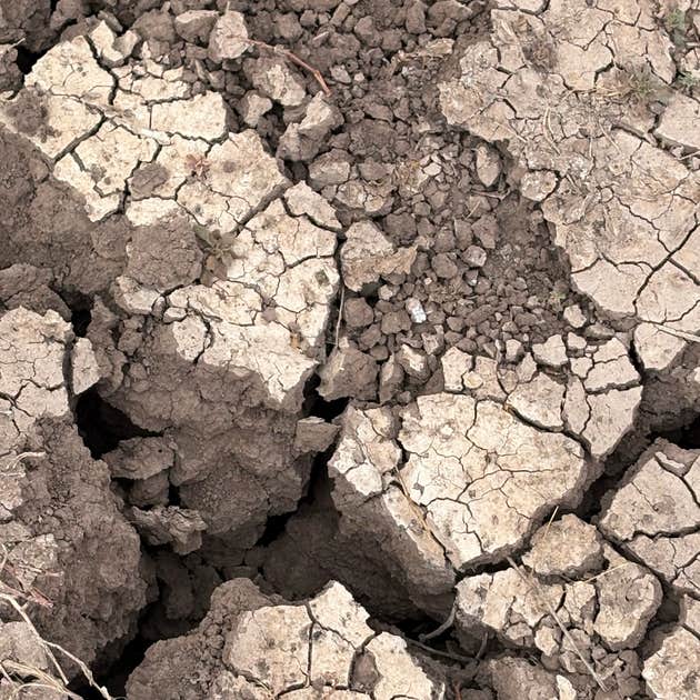 Whitewater Draw Wildlife Area Camping | Elfrida, Arizona