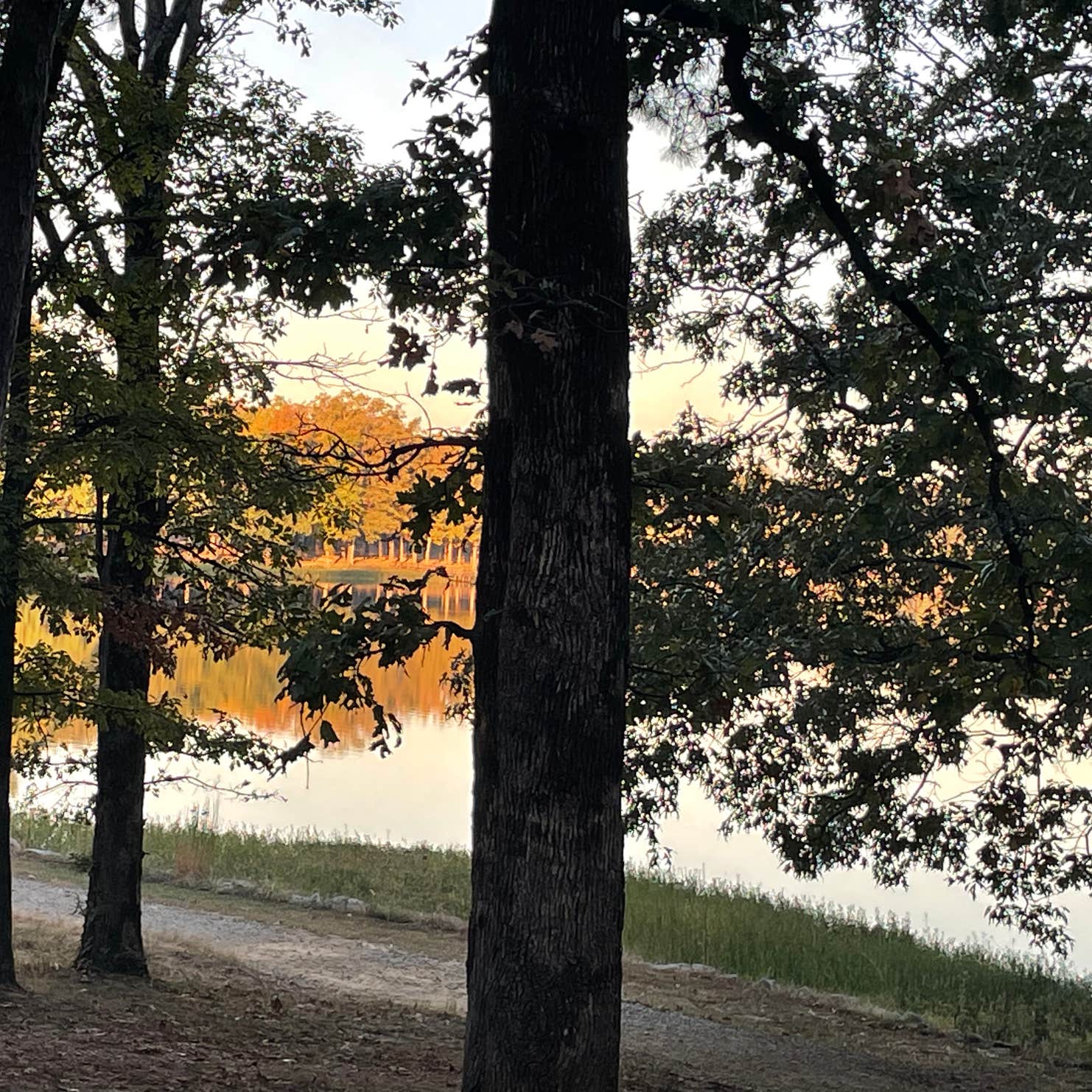 Craighead Forest Park Camping | Jonesboro, AR