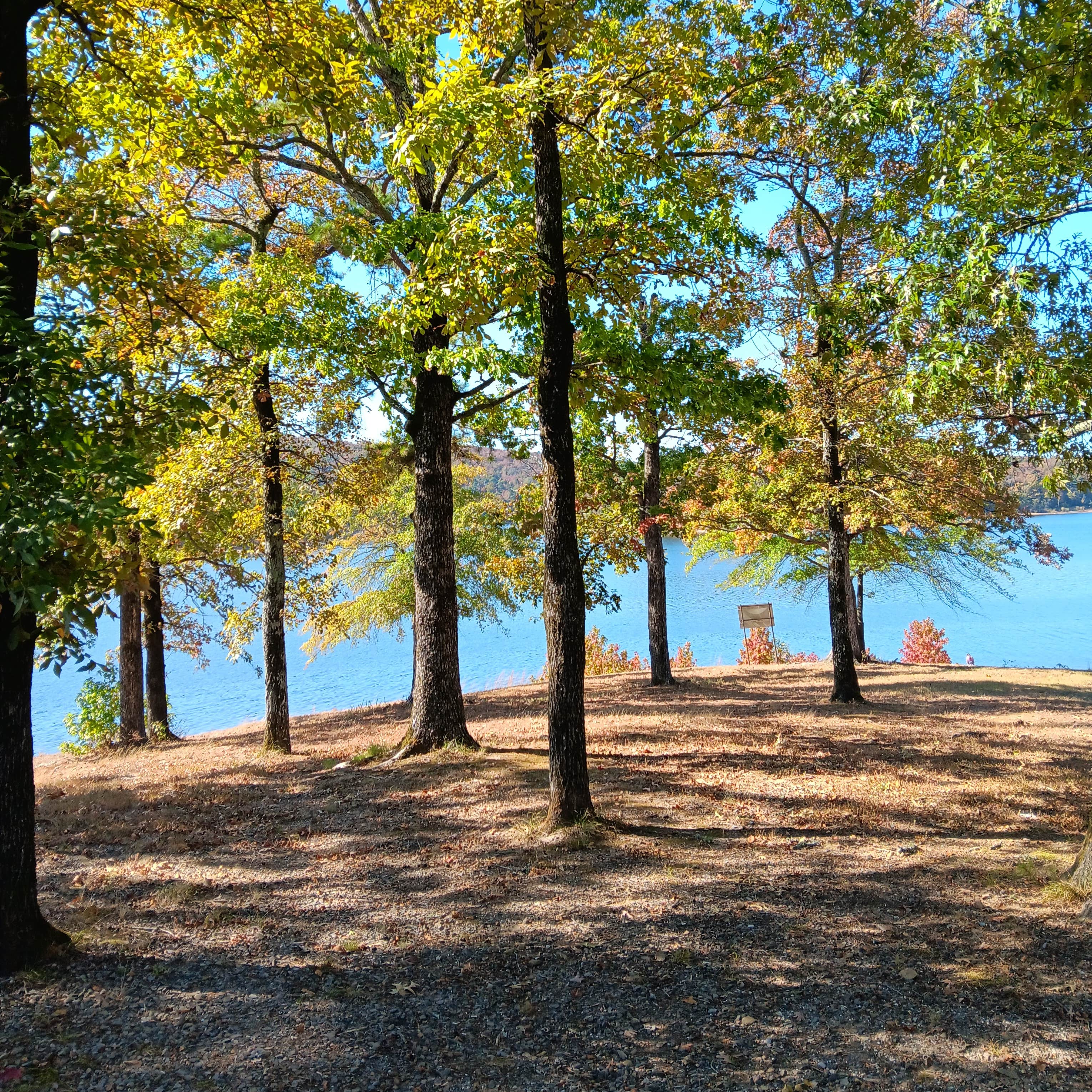 Daisy State Park Campground | Kirby, Arkansas