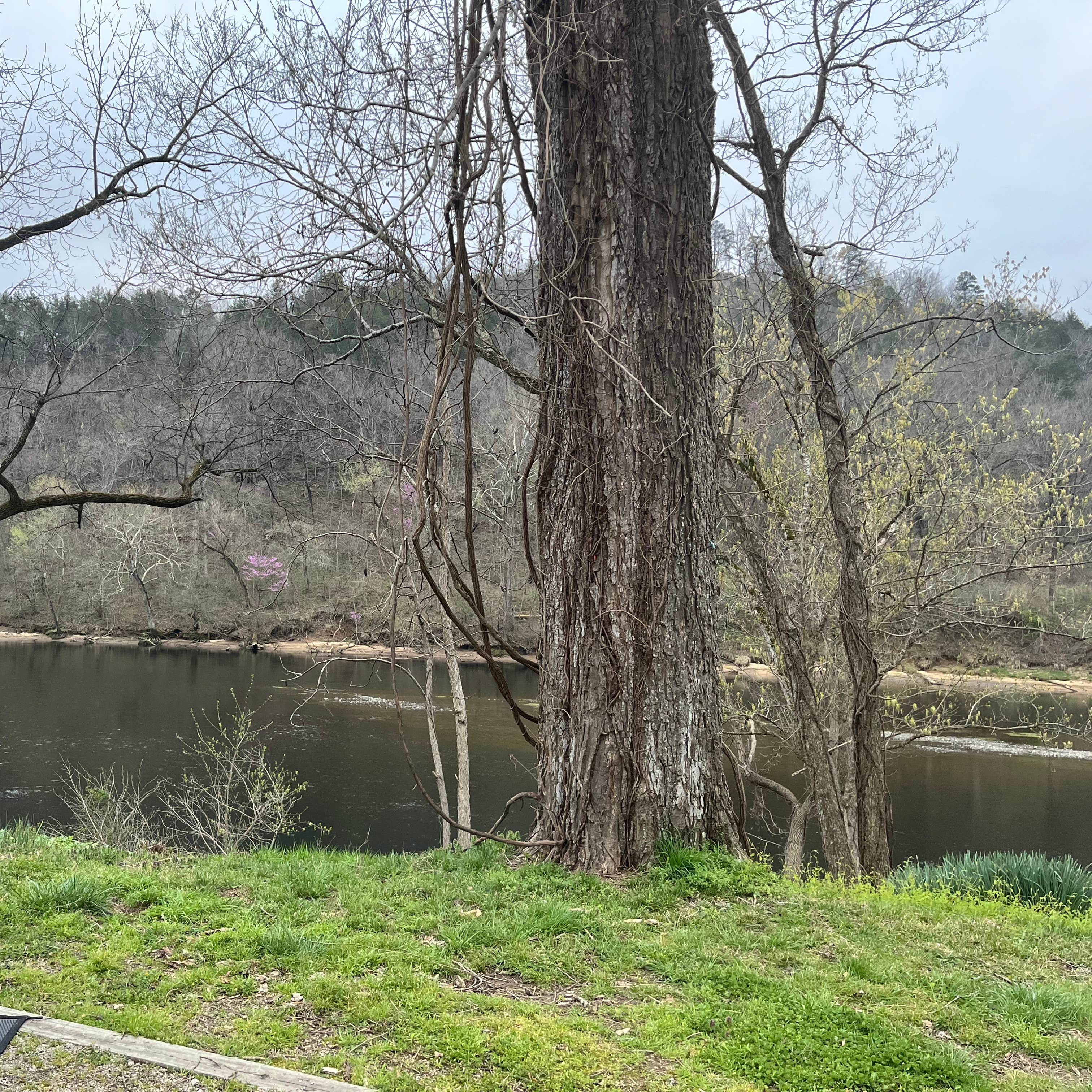 Dam - Quarry Camping | Norfork, Arkansas