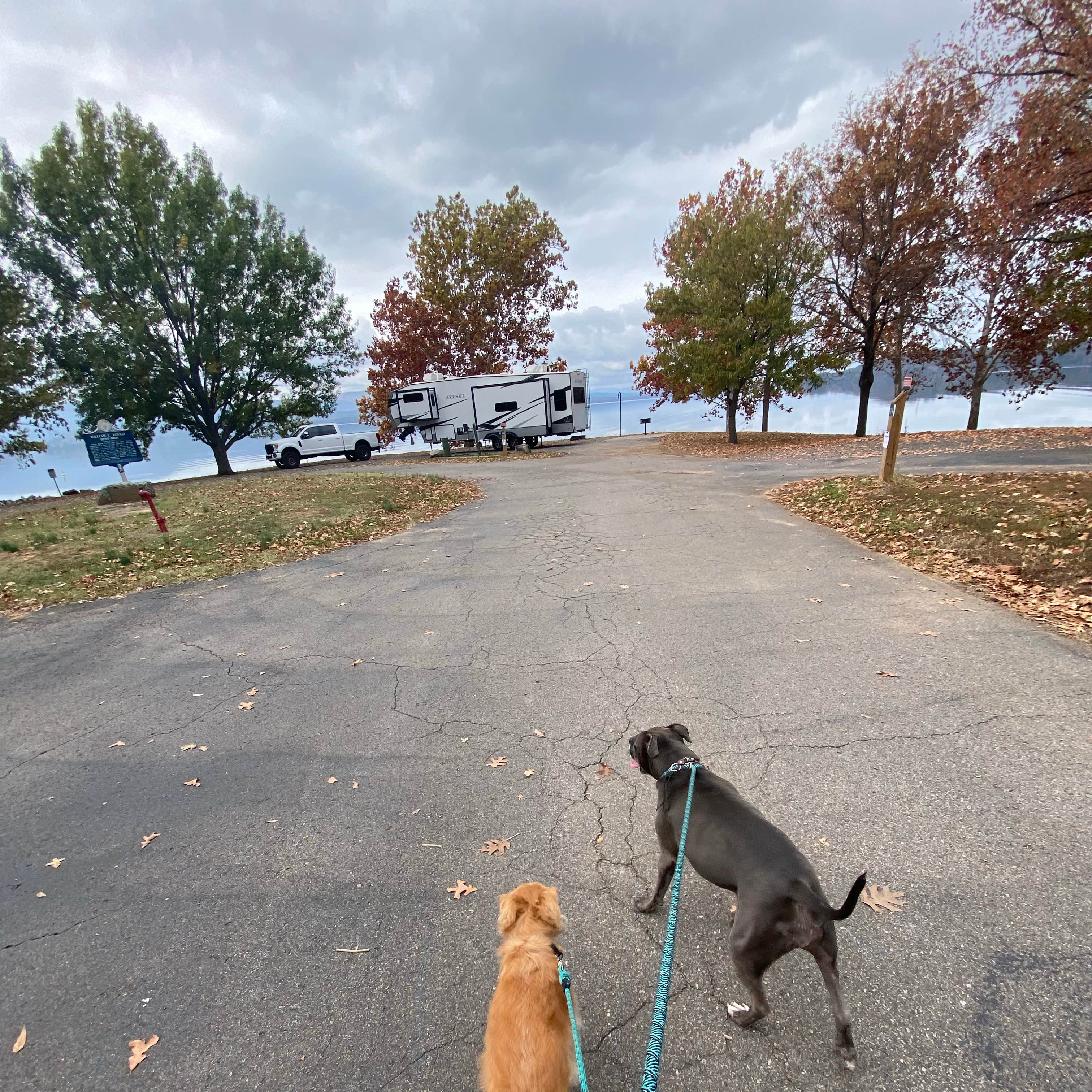 Russellville Campground — Lake Dardanelle State Park | Russellville, AR