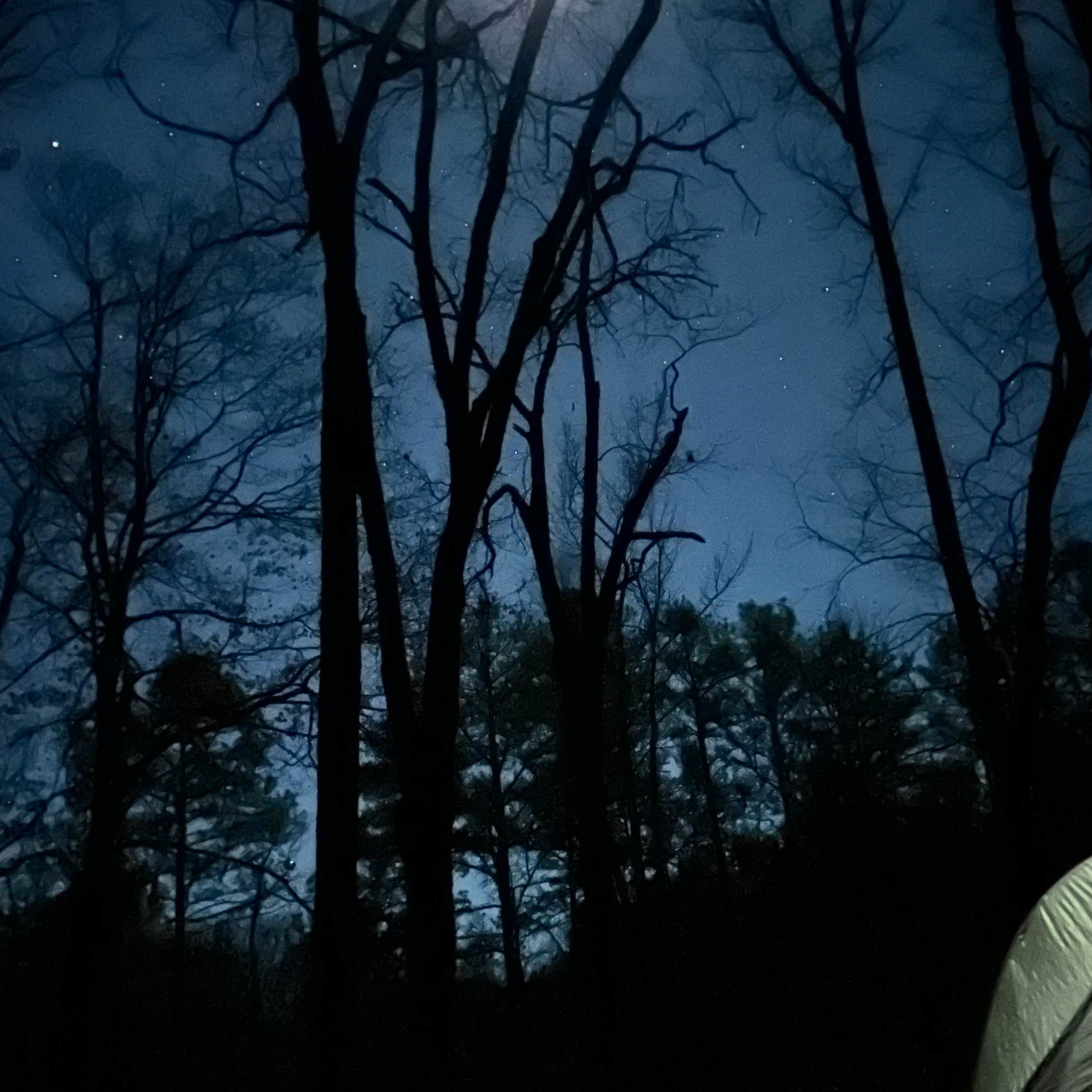 Wolf Pen Recreation Area Campground | Oark, Arkansas