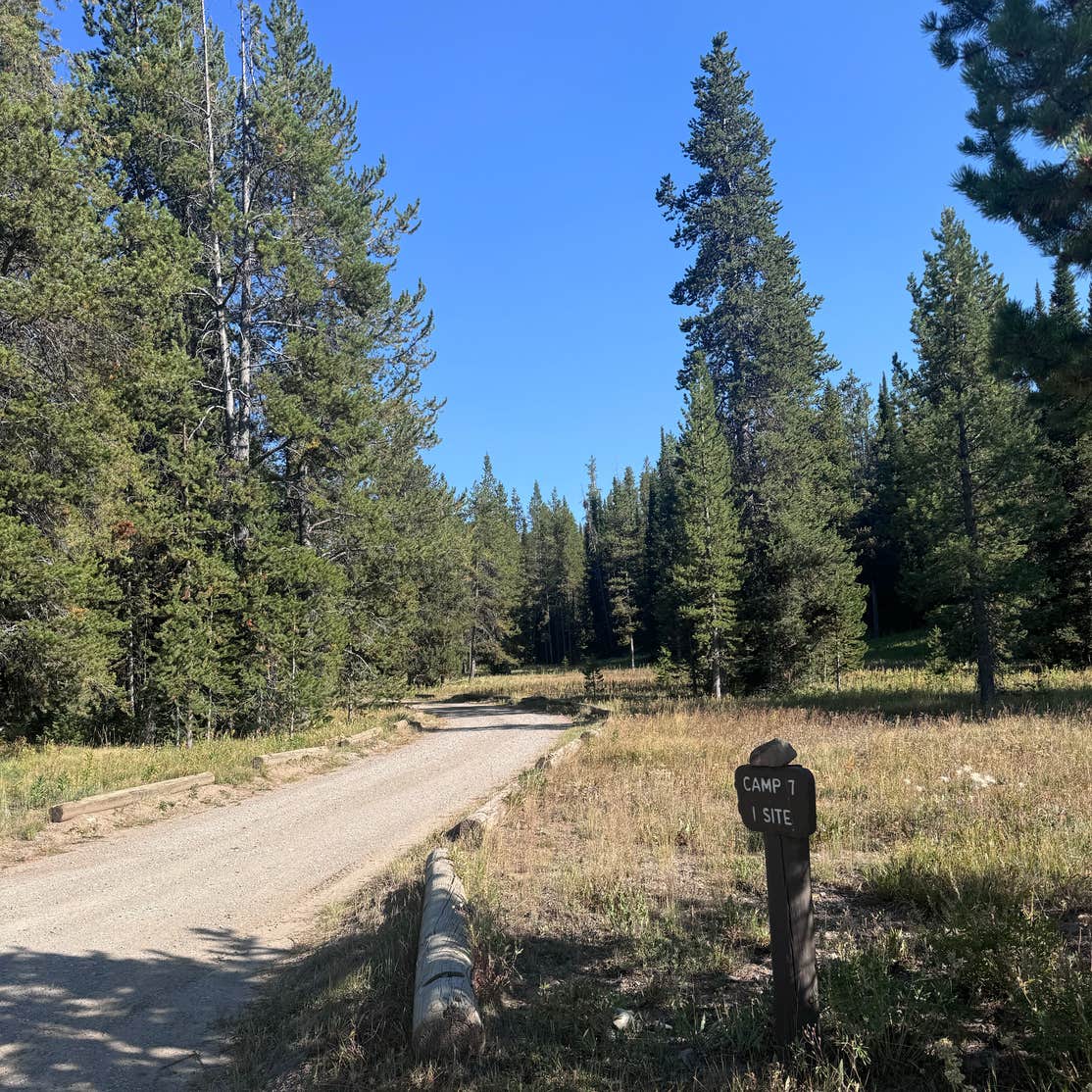 Ashton-Flagg Ranch Road Camping | John D. Rockefeller Jr. Memorial ...