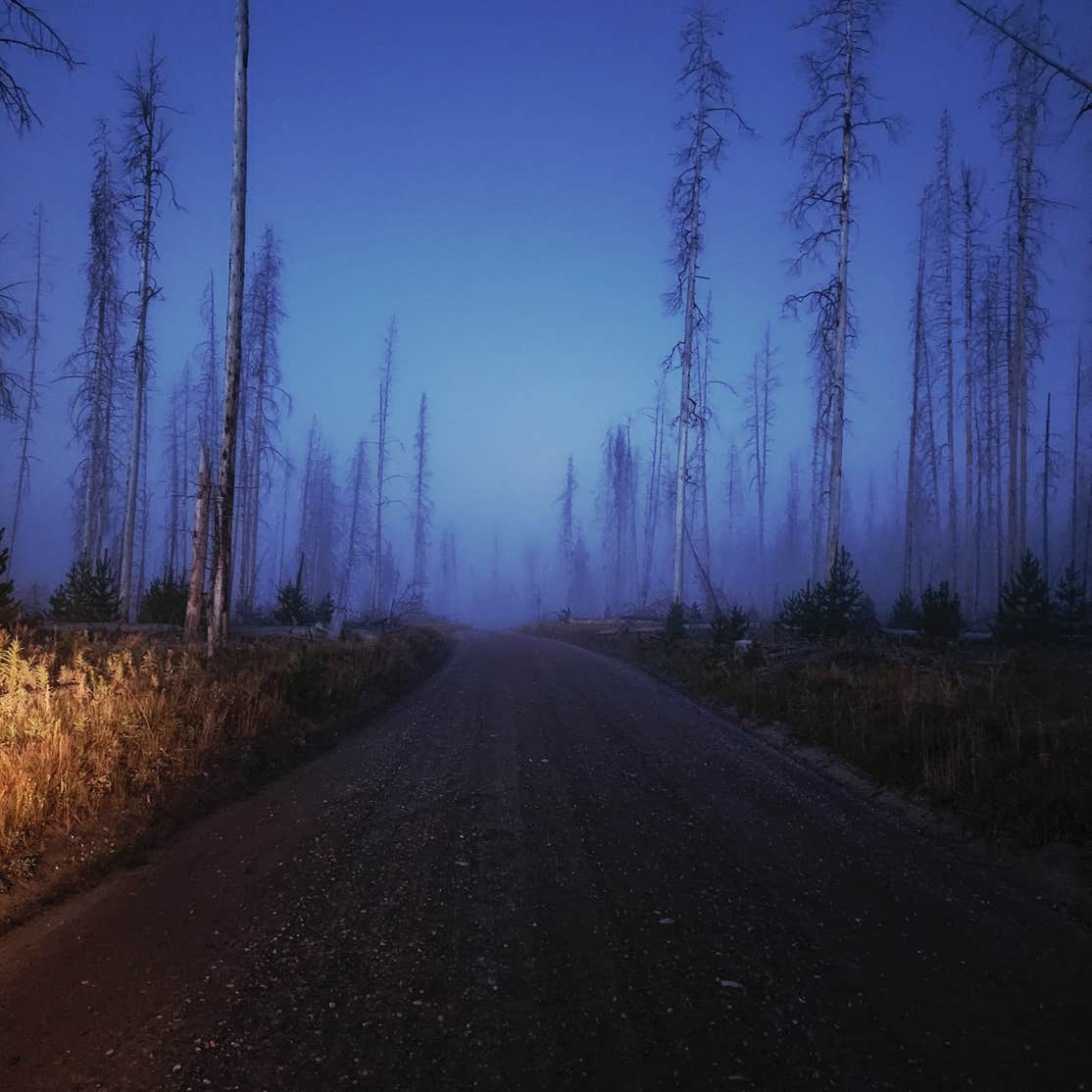 Ashton-Flagg Ranch Road Camping | John D. Rockefeller Jr. Memorial ...