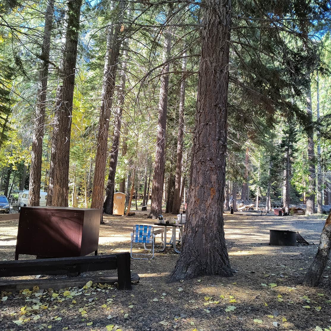 Aspen Campground | Lee Vining, CA