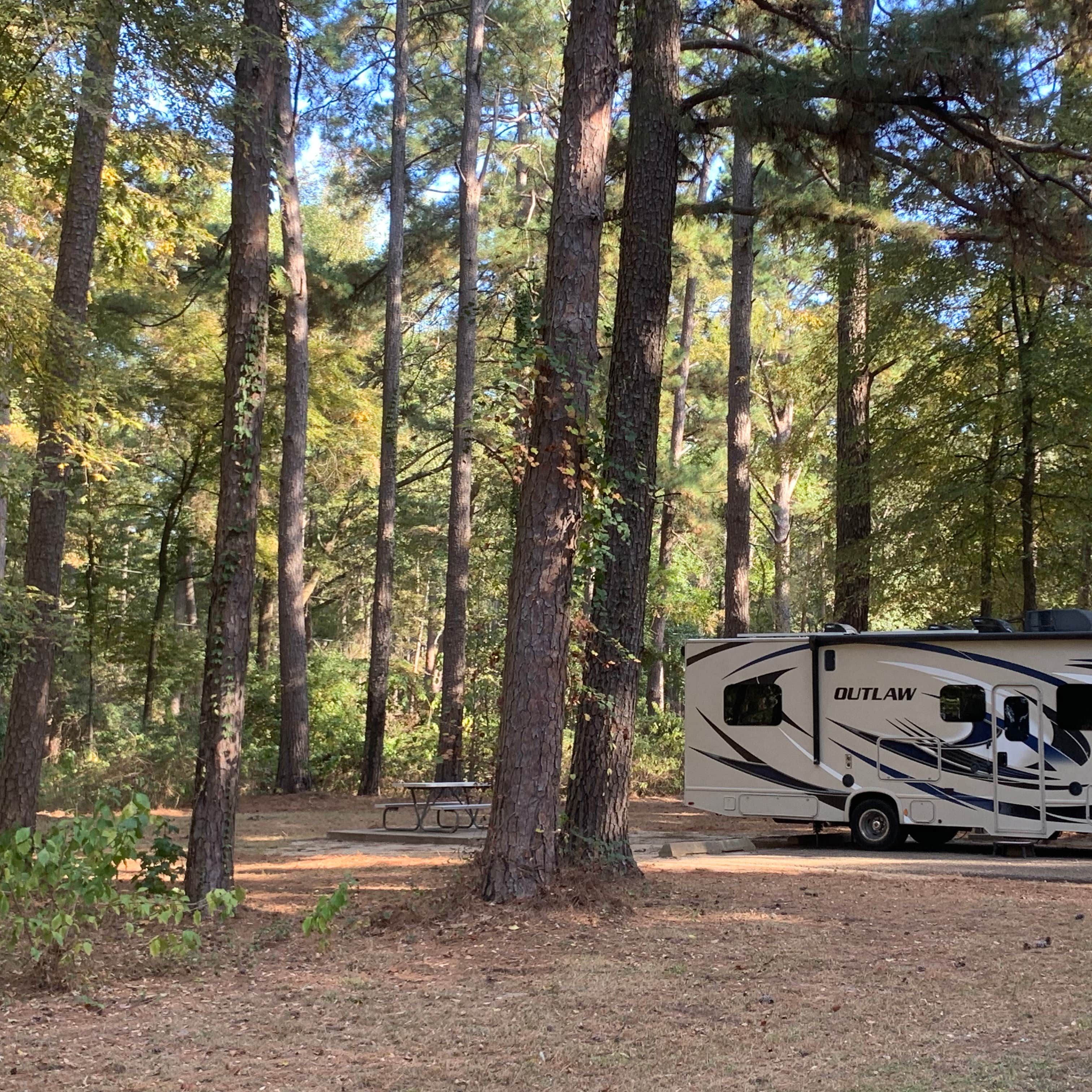 Atlanta State Park Campground | Queen City, Texas