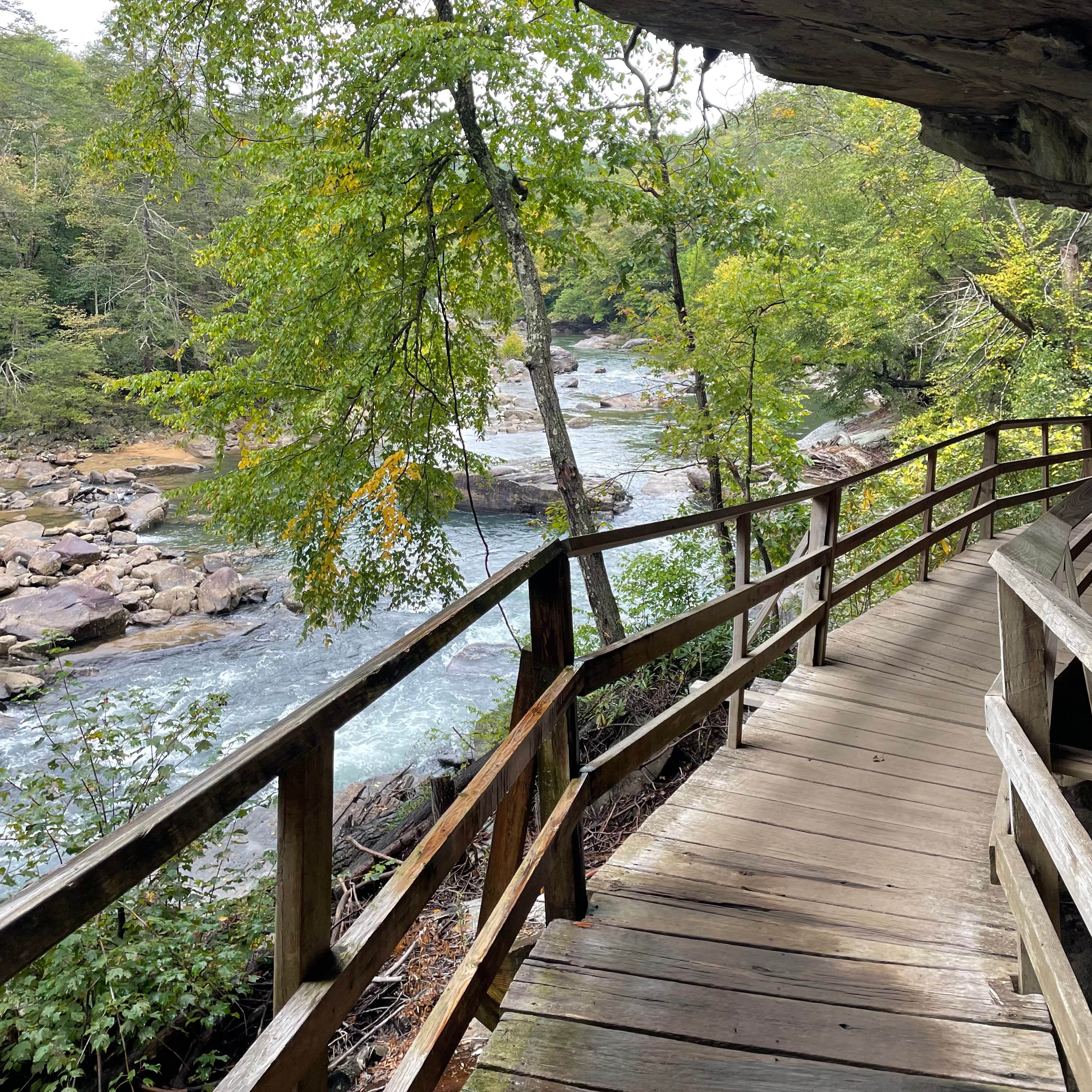 Audra State Park Campground | Volga, West Virginia