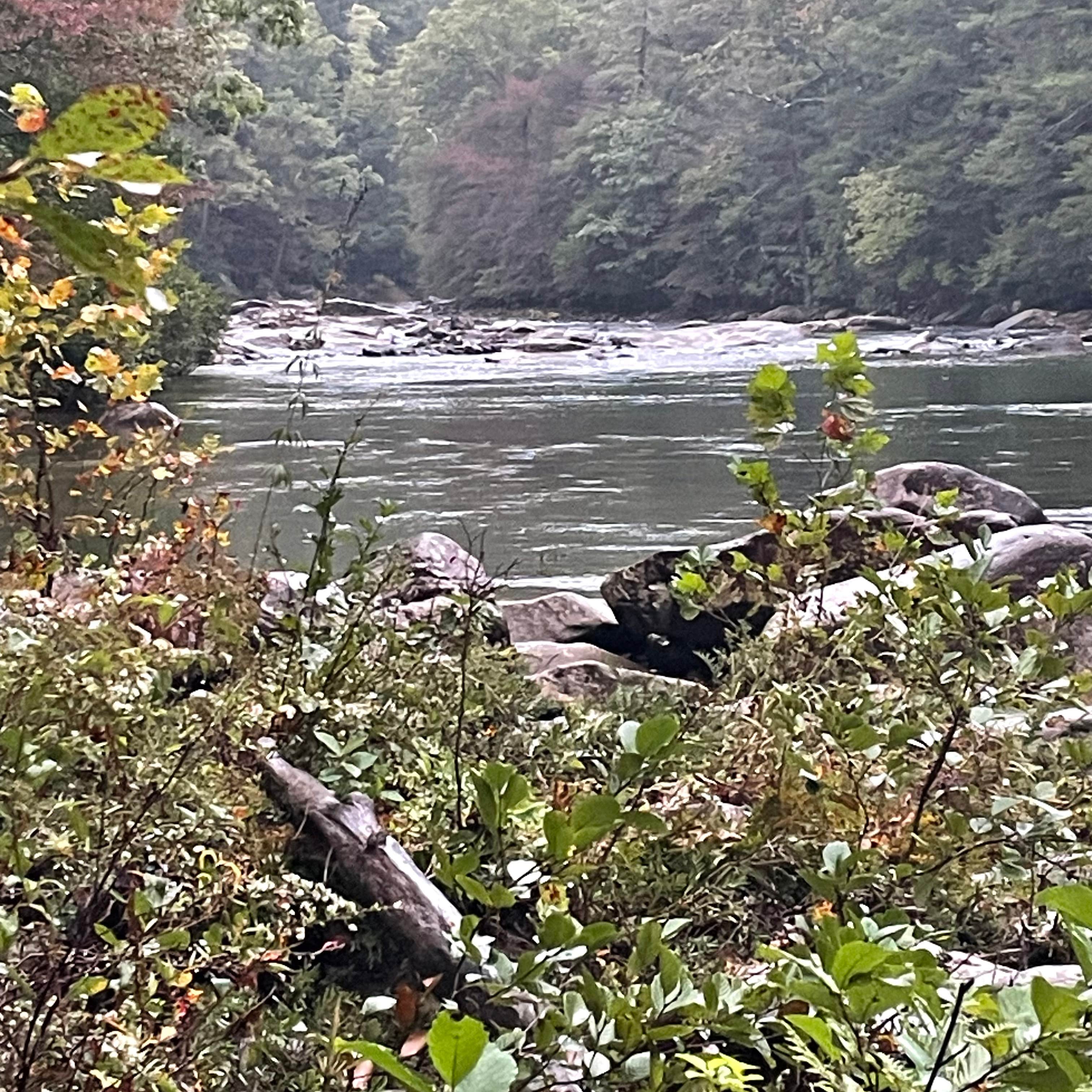 Audra State Park Campground | Buckhannon, WV