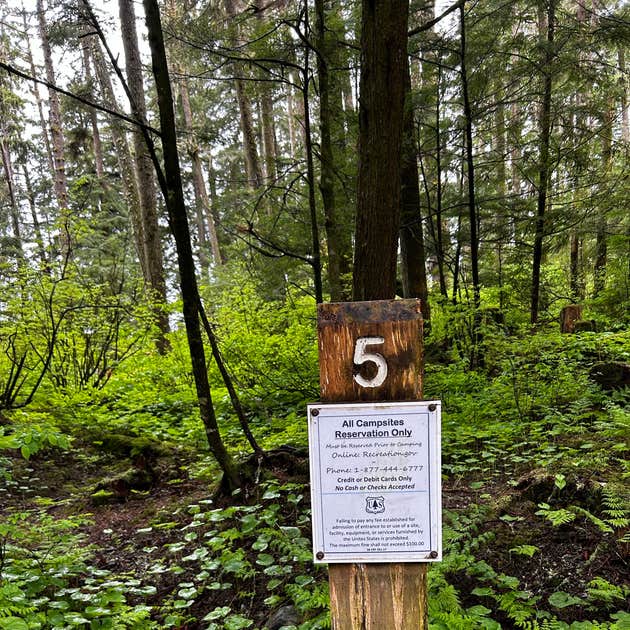 Auk Village Camping | Auke Bay, Alaska