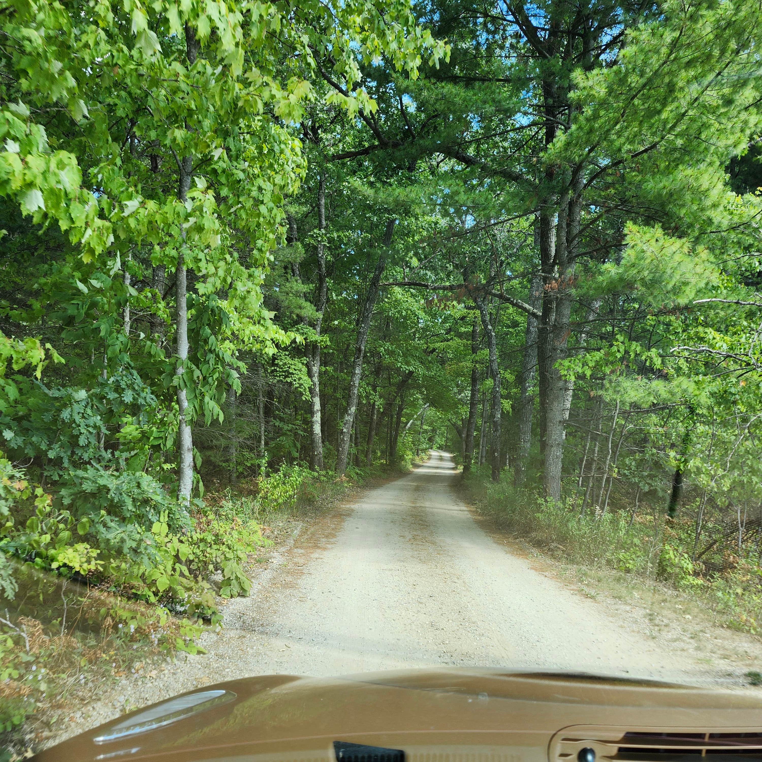 Au Sable River Primitive Camping | Mio, Michigan