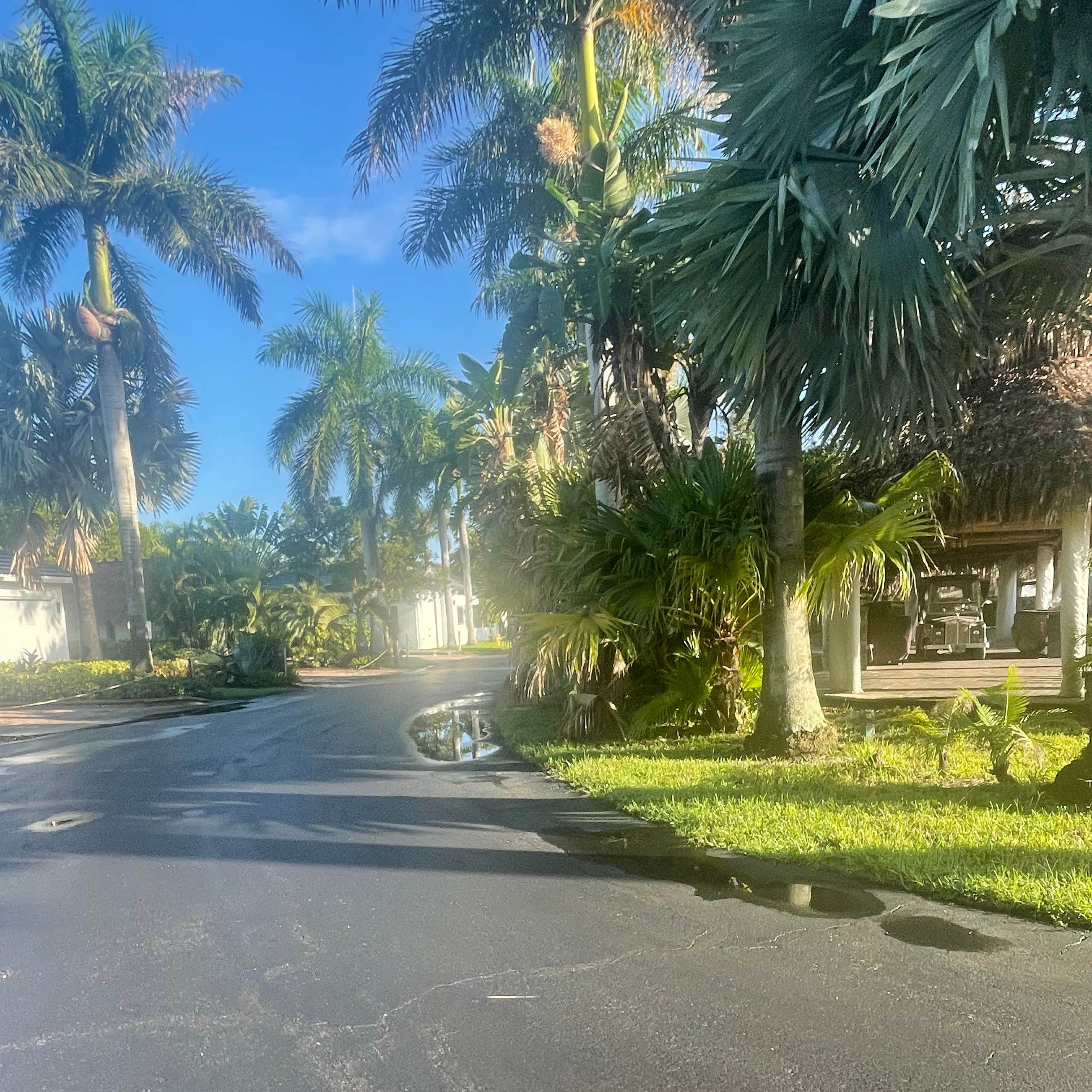 Aztec RV Resort | Coconut Creek, Florida