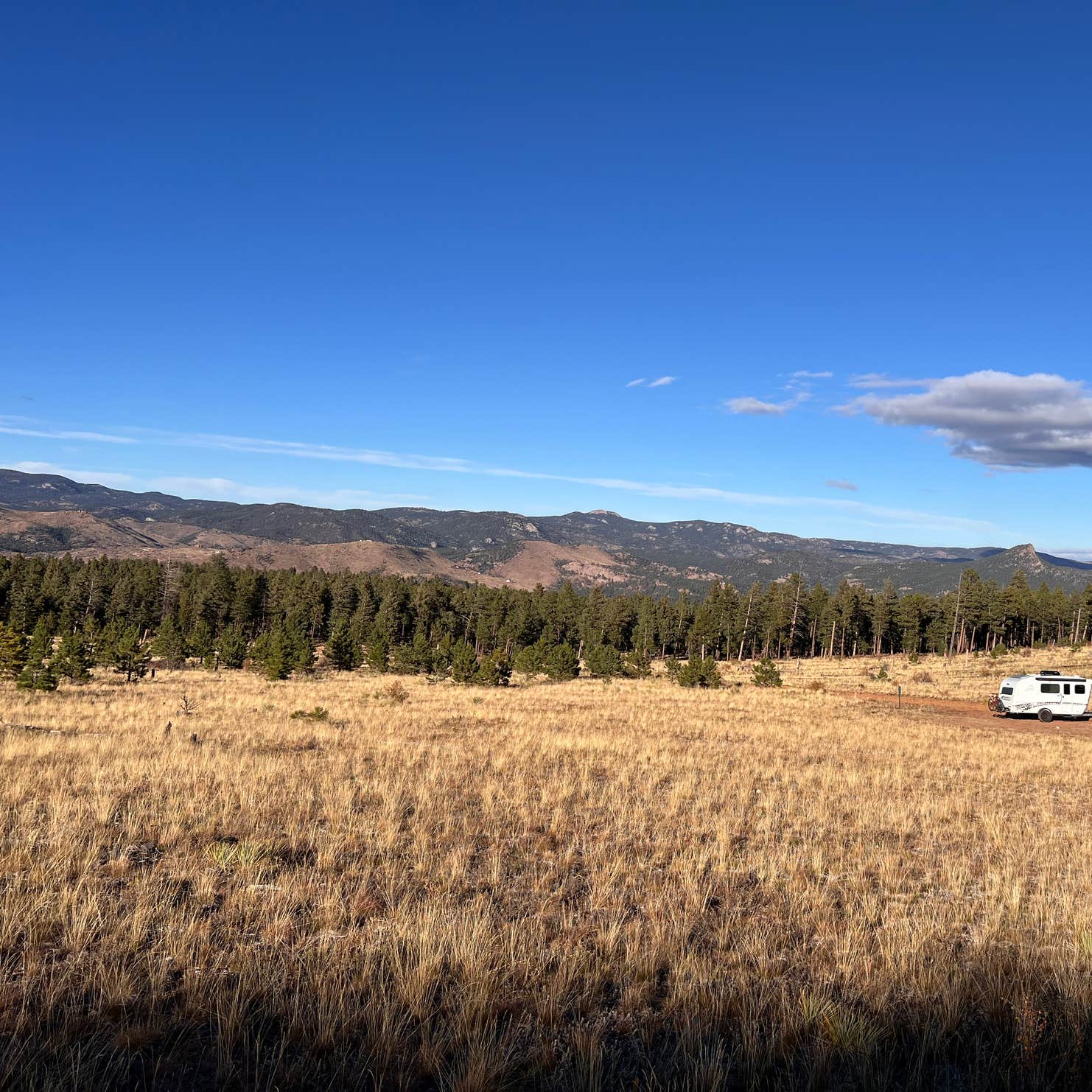 Bailey Area Dispersed Camping | Buffalo Creek, Colorado