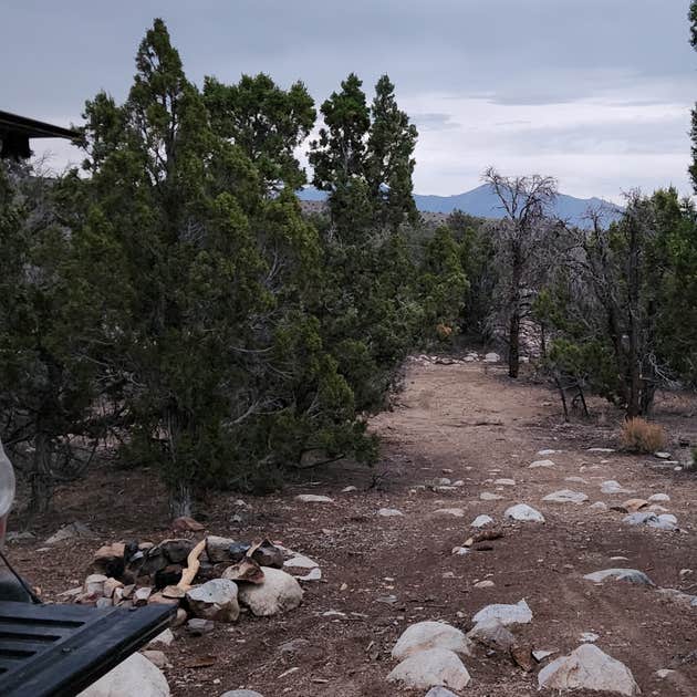 Free single NF-589 Dispersed Campsite | Baker, Nevada