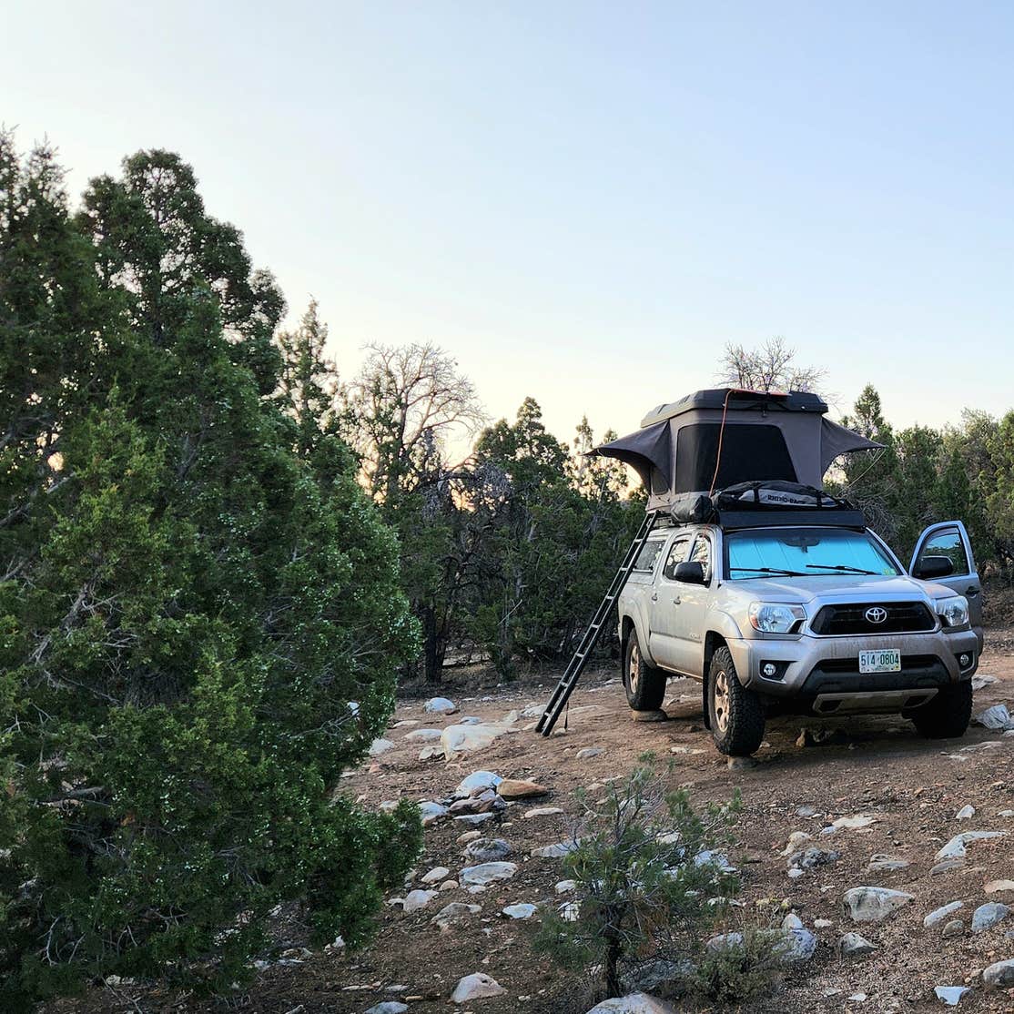 Free single NF-589 Dispersed Campsite | Baker, Nevada