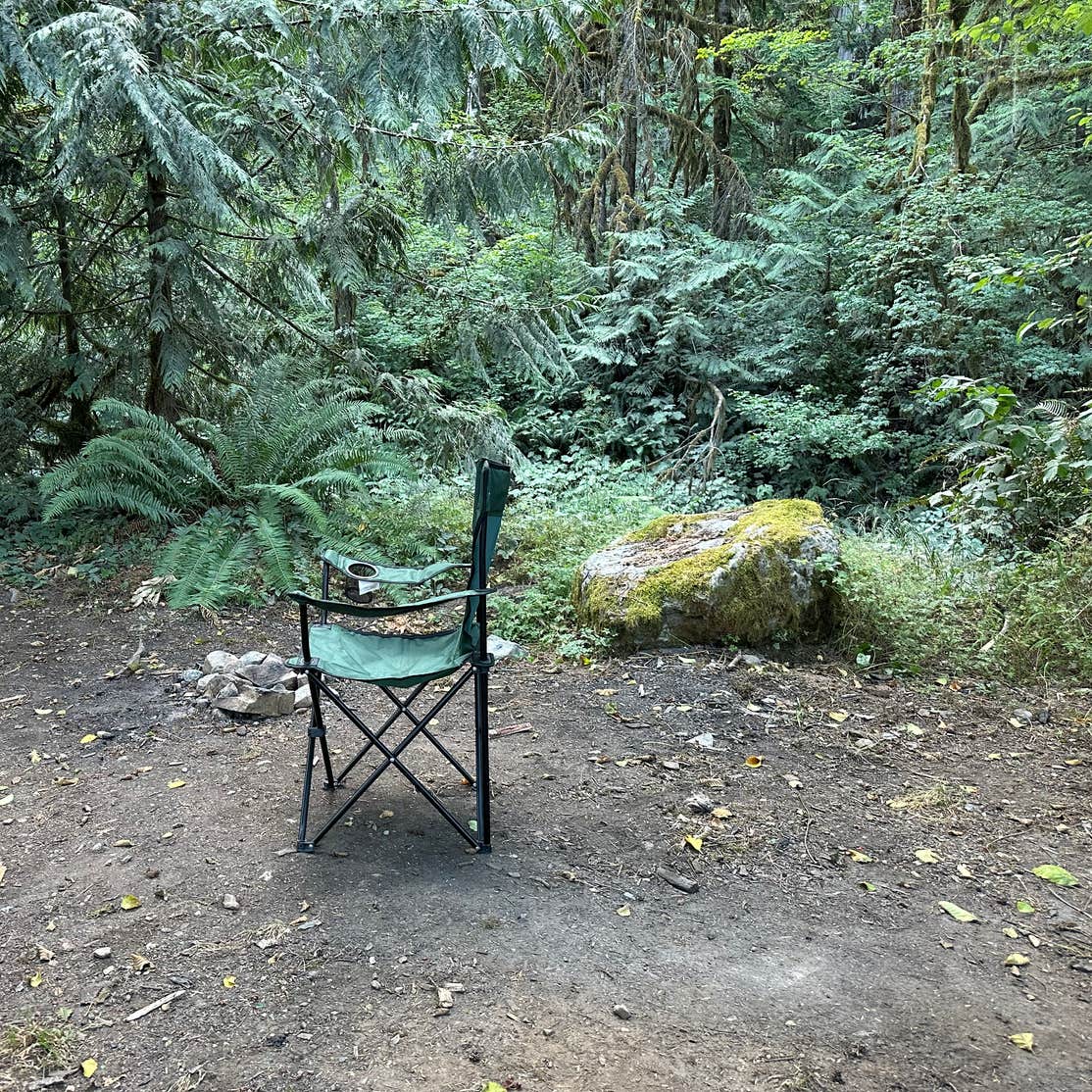 Baker Lake Road Dispersed Campsite | Concrete, Washington