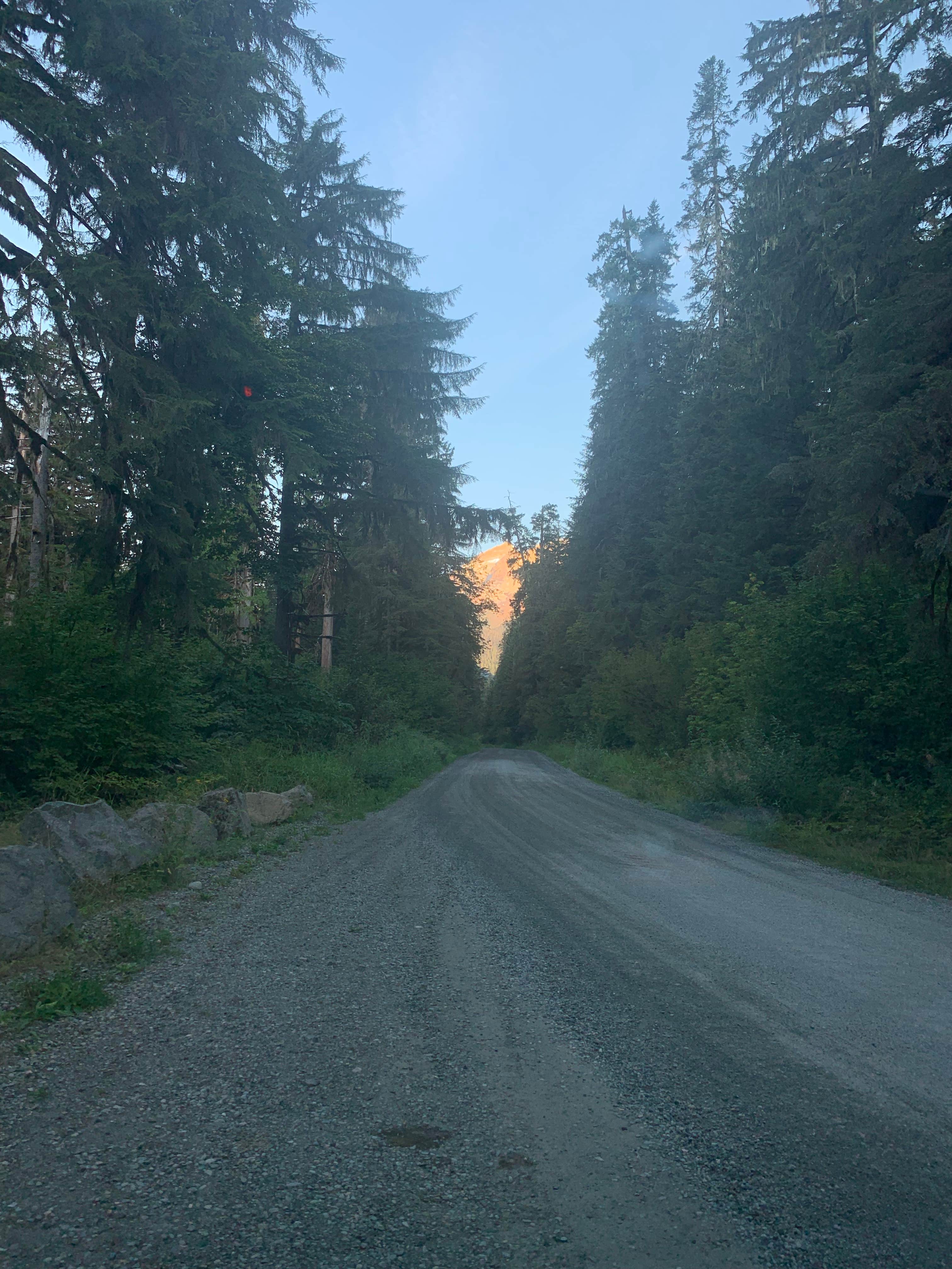 Baker Lake Road Dispersed Campsite | Concrete, WA
