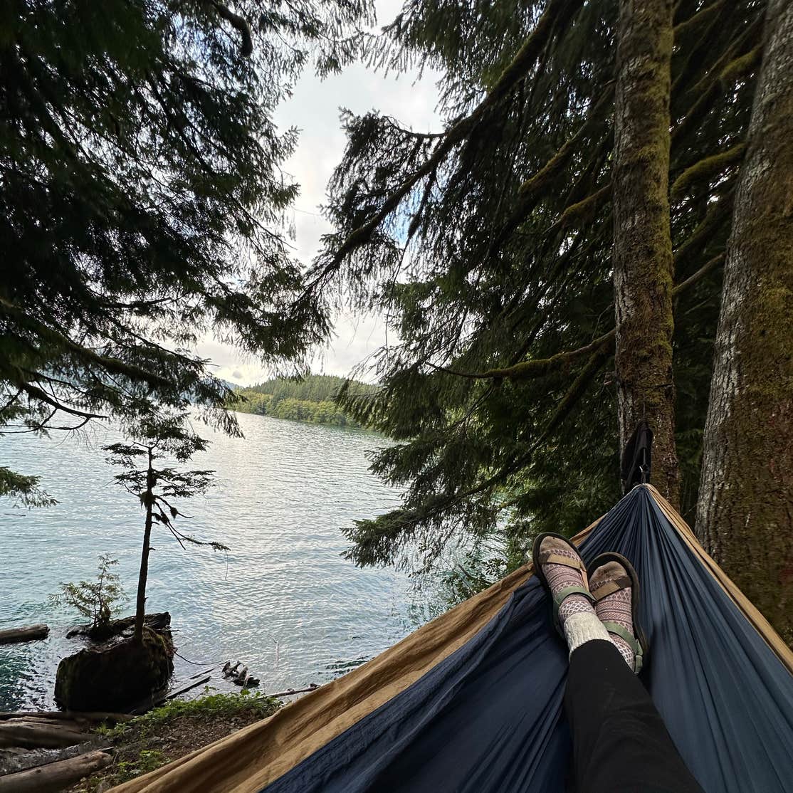 Baker Lake Road Dispersed Campsite | Concrete, Washington