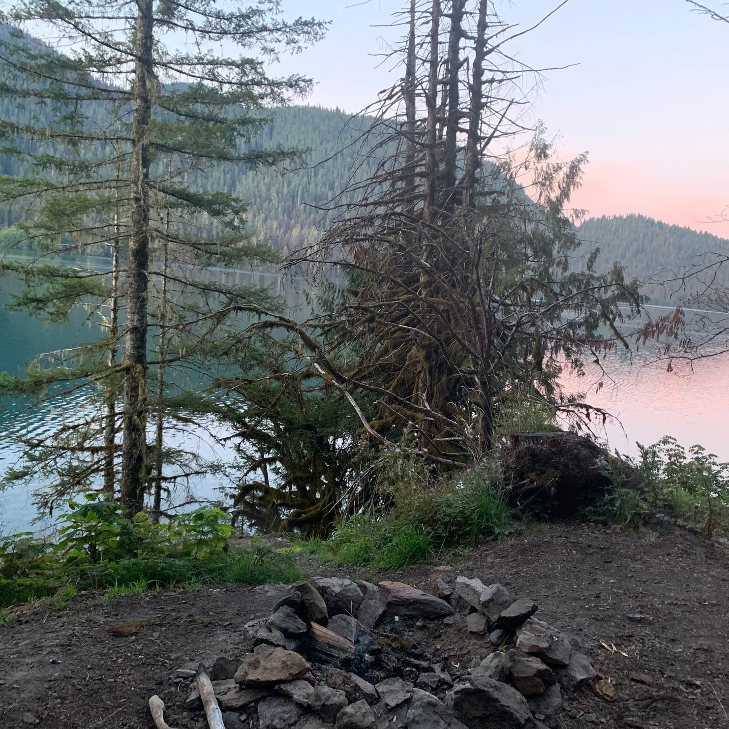 Baker Lake Road Dispersed Campsite | Concrete, Washington
