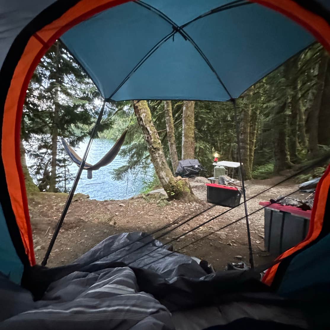 Baker Lake Road Dispersed Campsite | Concrete, Washington