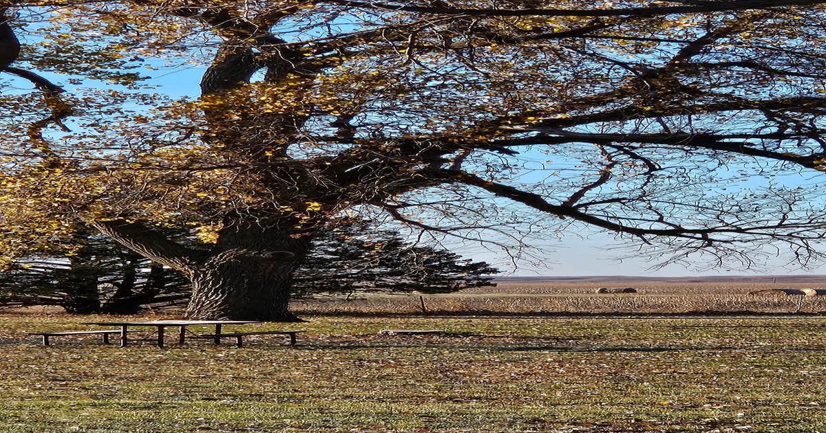 Ballards Marsh State Wildlife Area Camping | Valentine, Nebraska
