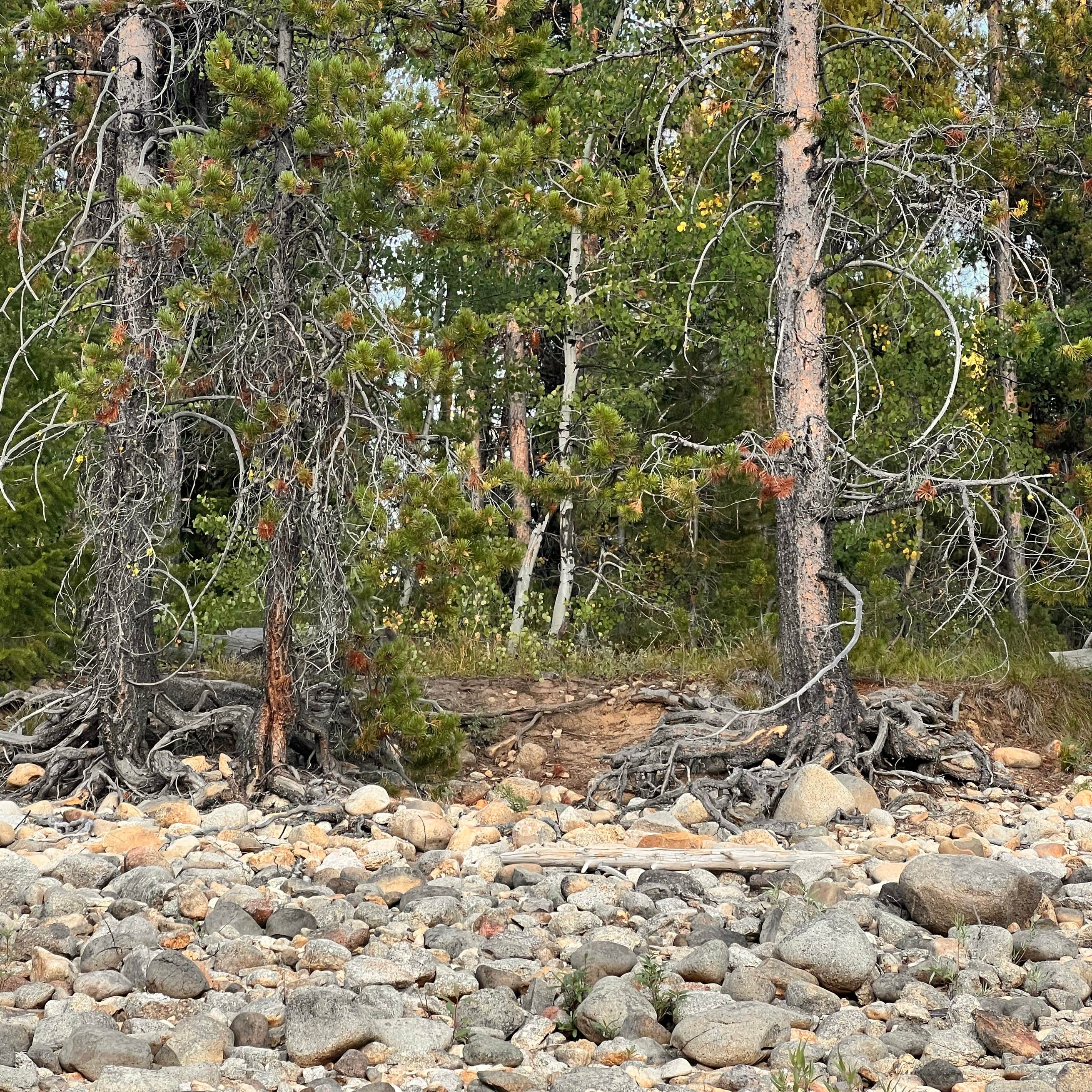 Barney’s Campground | Lowman, Idaho