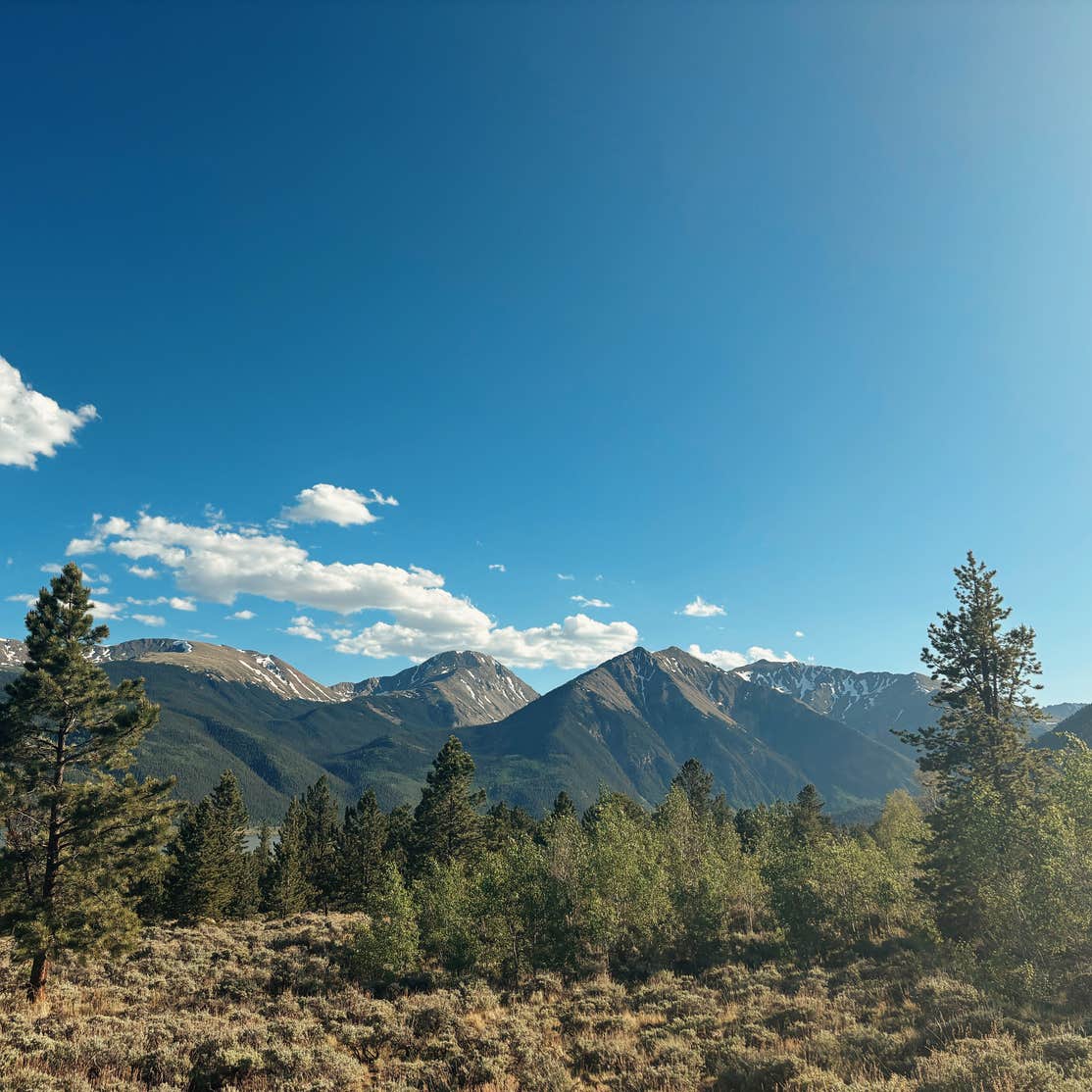 Bartlett Creek Gulch Dispersed Camping | Granite, Colorado